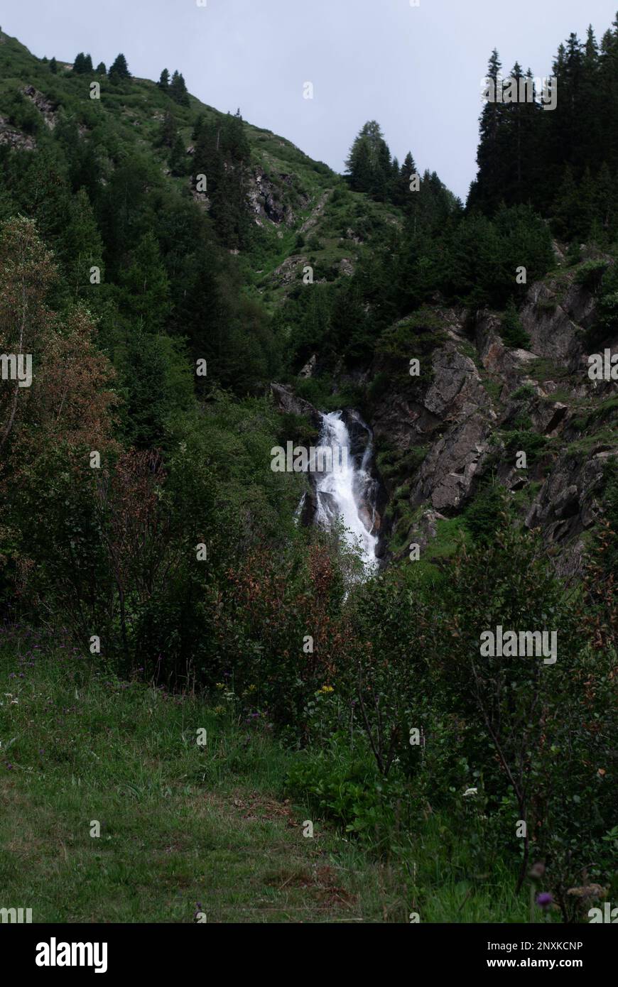 Alps stream waterfall landscape hi-res stock photography and images - Alamy