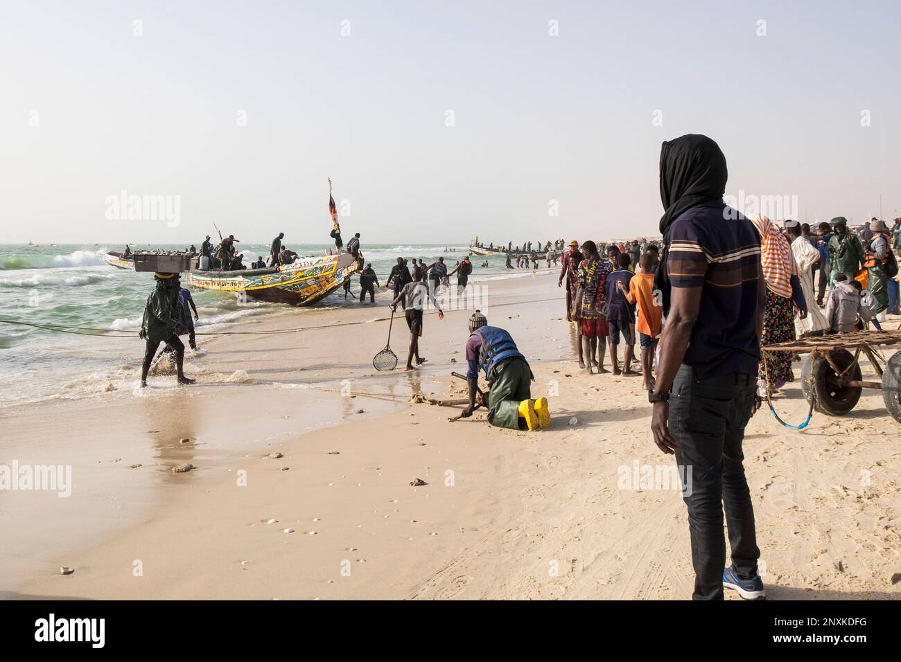 Mauritania, Nouakchott, fish market on the shores of the Atlantic ocean ...