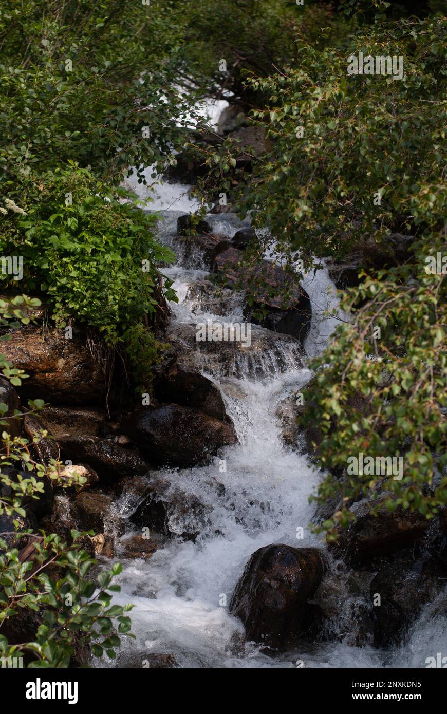 View waterfall sunny day hi-res stock photography and images - Alamy