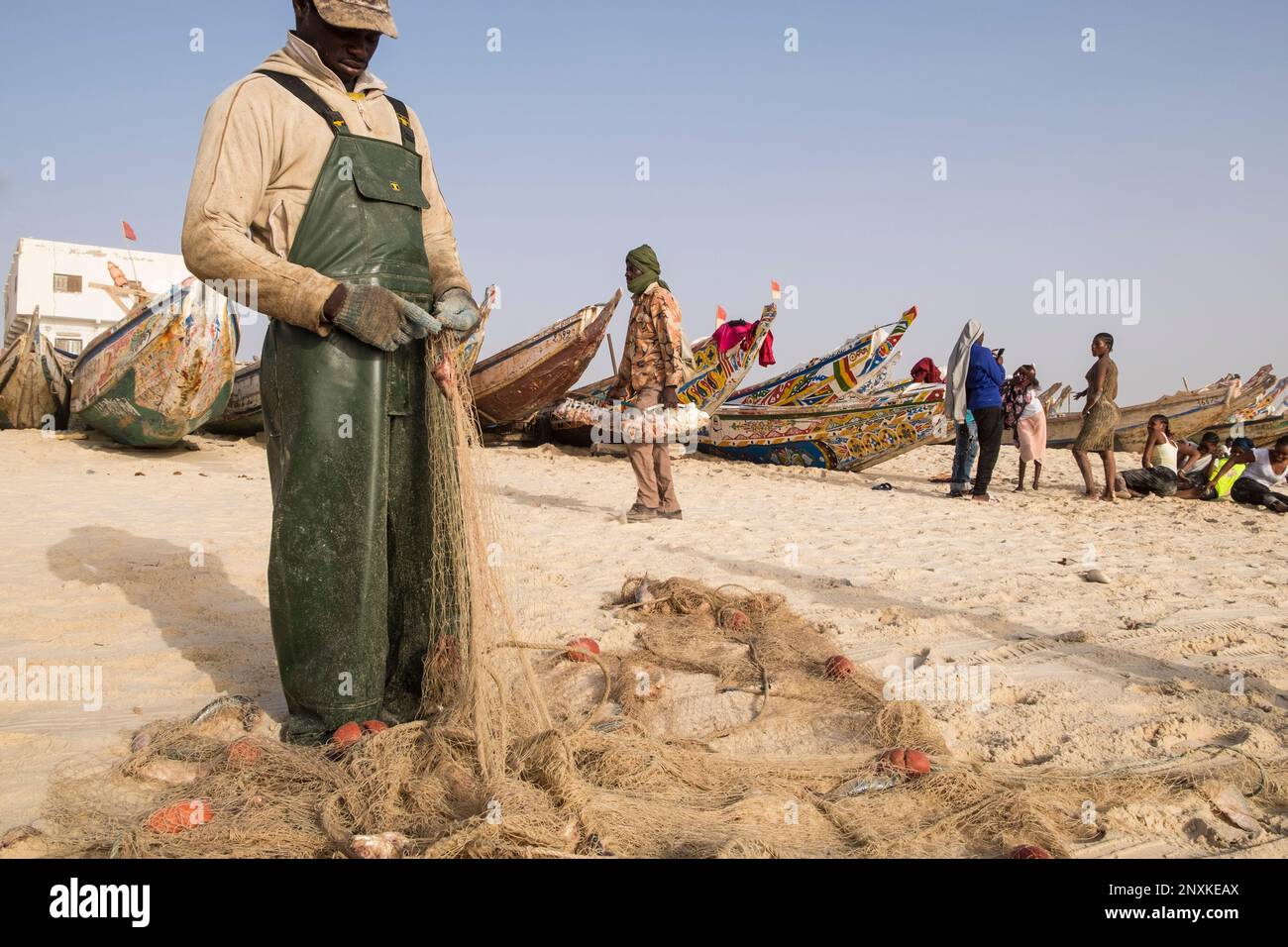 Mauritania, Nouakchott, fish market on the shores of the Atlantic ocean ...