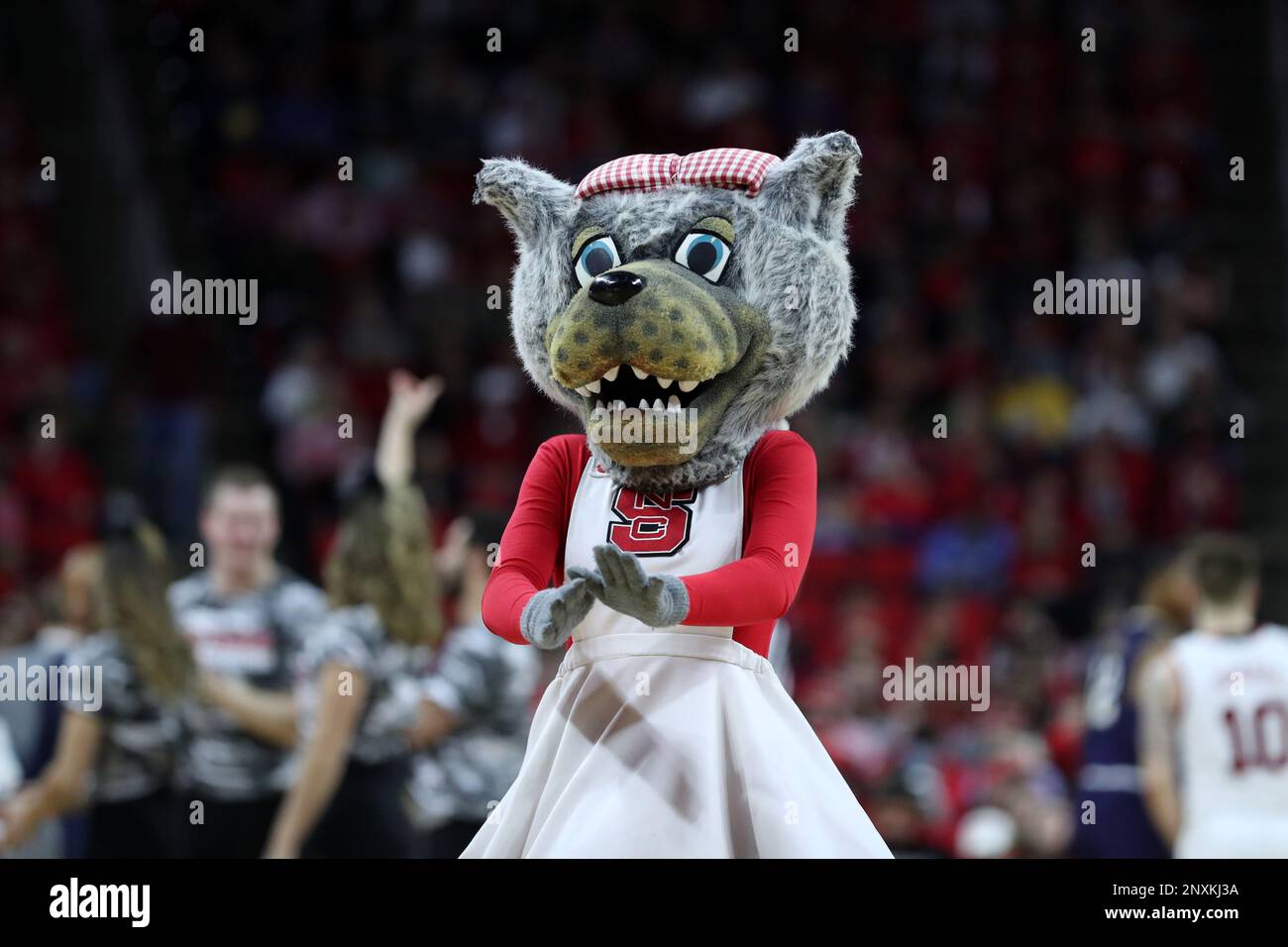Nc State University Mascot