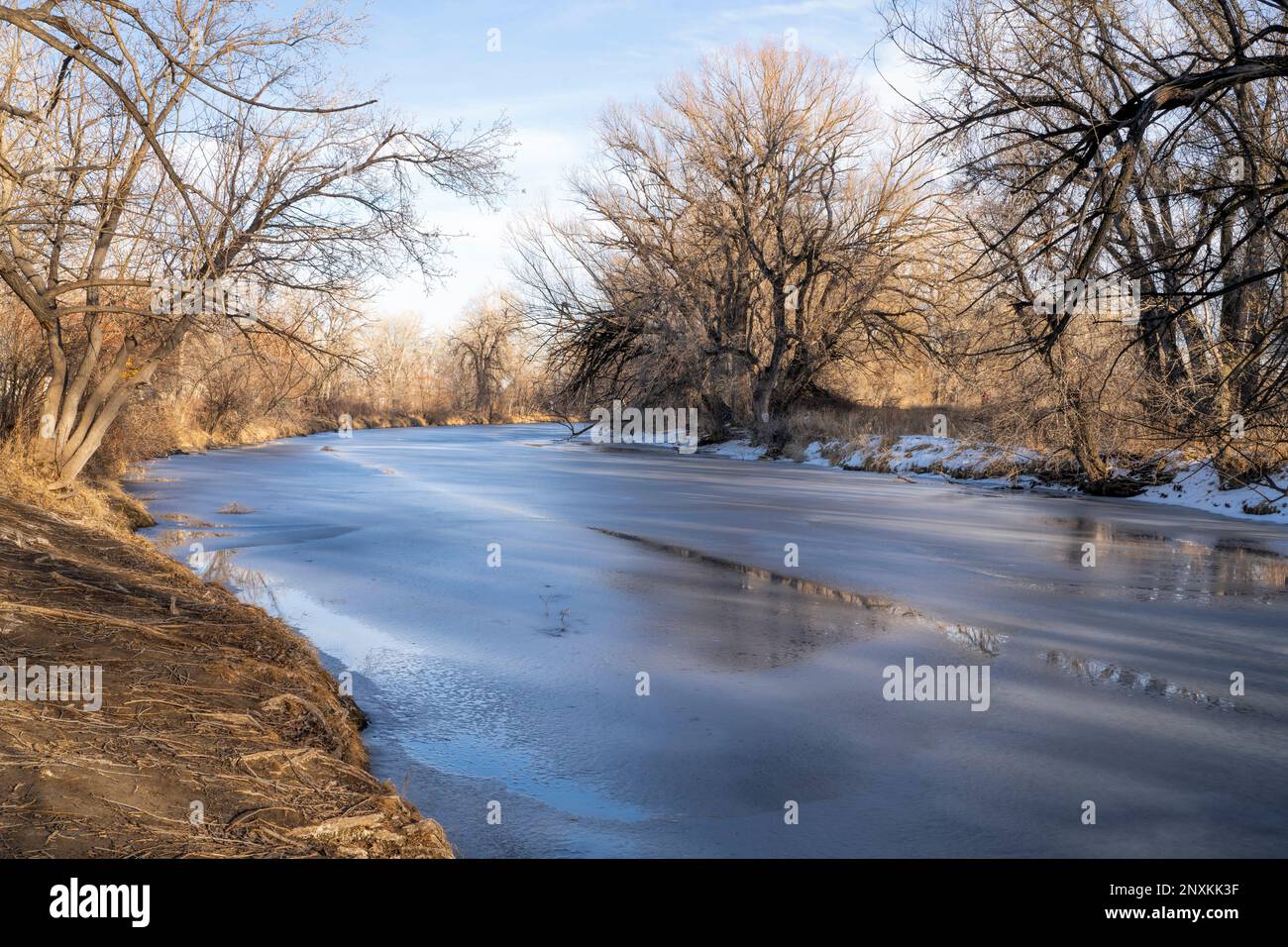 winter scenery of frozen Cache la Poudre River in Fort Collins ...