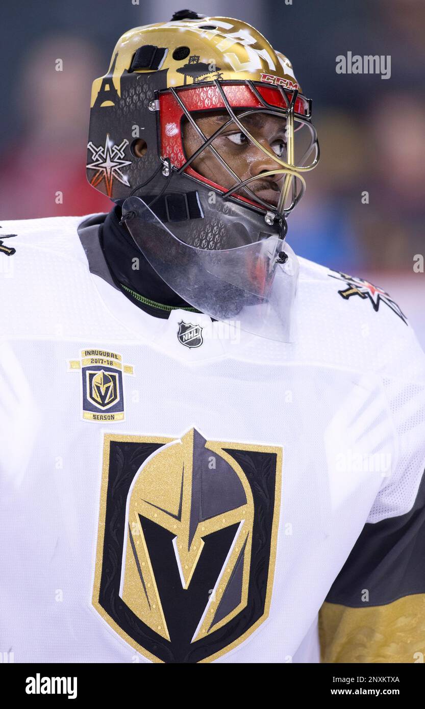 Subban Goalie