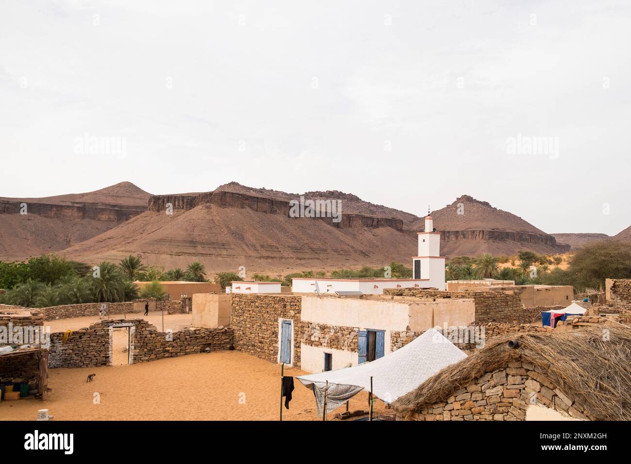 Mauritania, oasis of Tergit, oasis of Terjit Stock Photo - Alamy