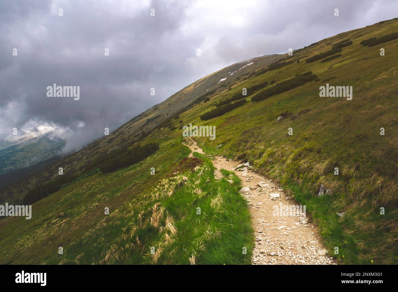 Hiking route towards Dumbier, the highest peak of the Low Tatras ...