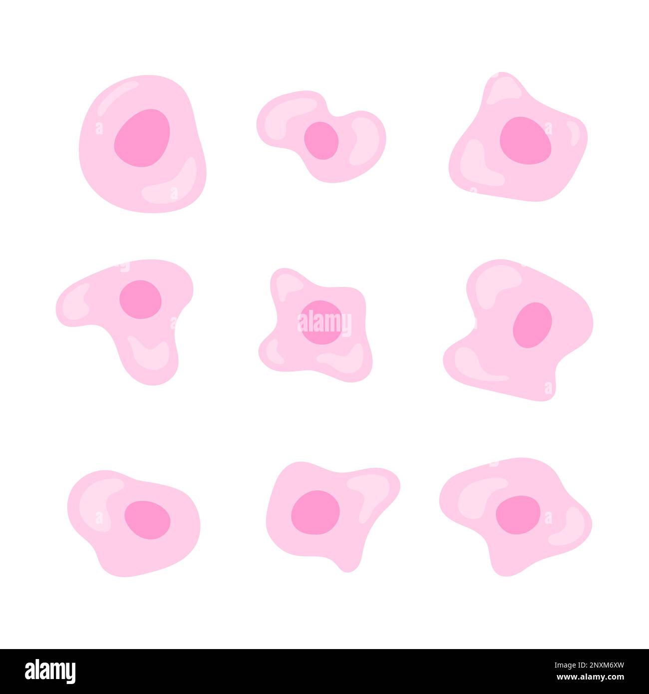 Human stem cell icon set for medical design Stock Vector Image & Art ...