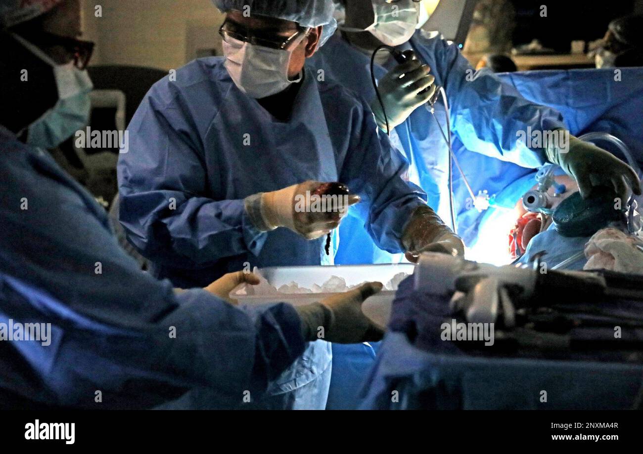 FILE- In this Jan. 17, 2018, file photo, SLUCare transplant surgeon Dr ...