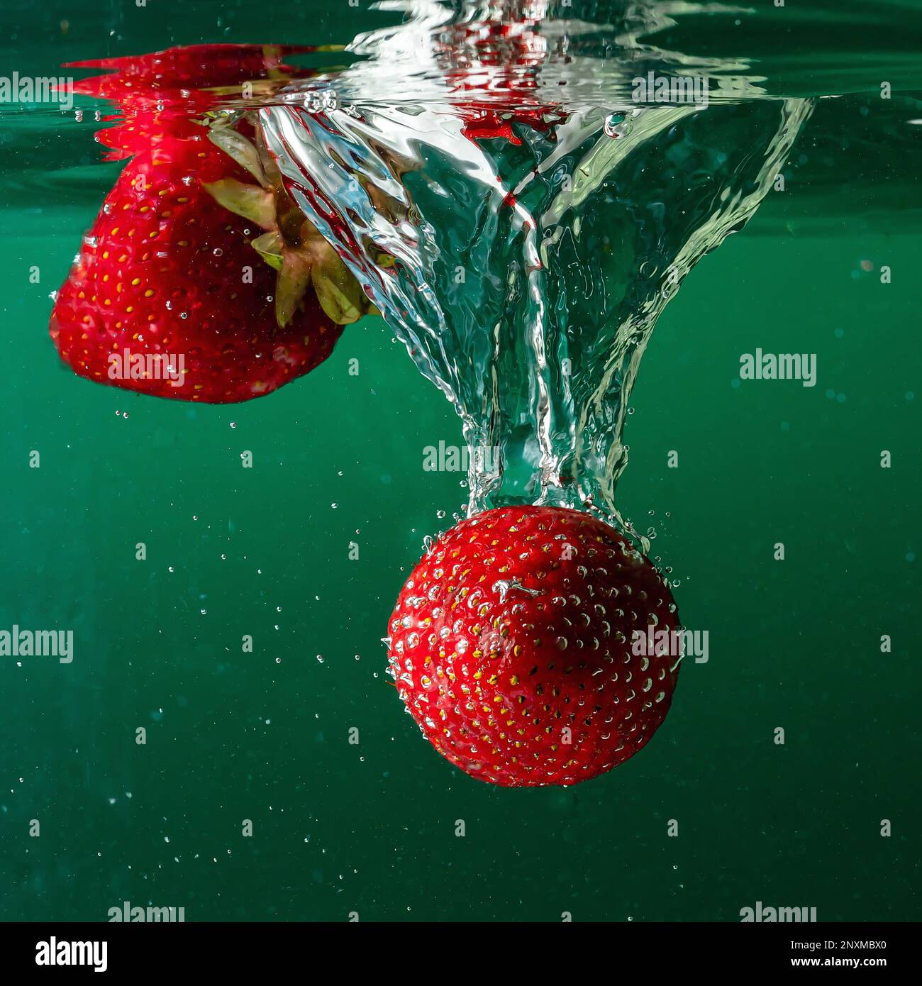 ripe strawberries fall into the water lifting splashes and air bubbles ...