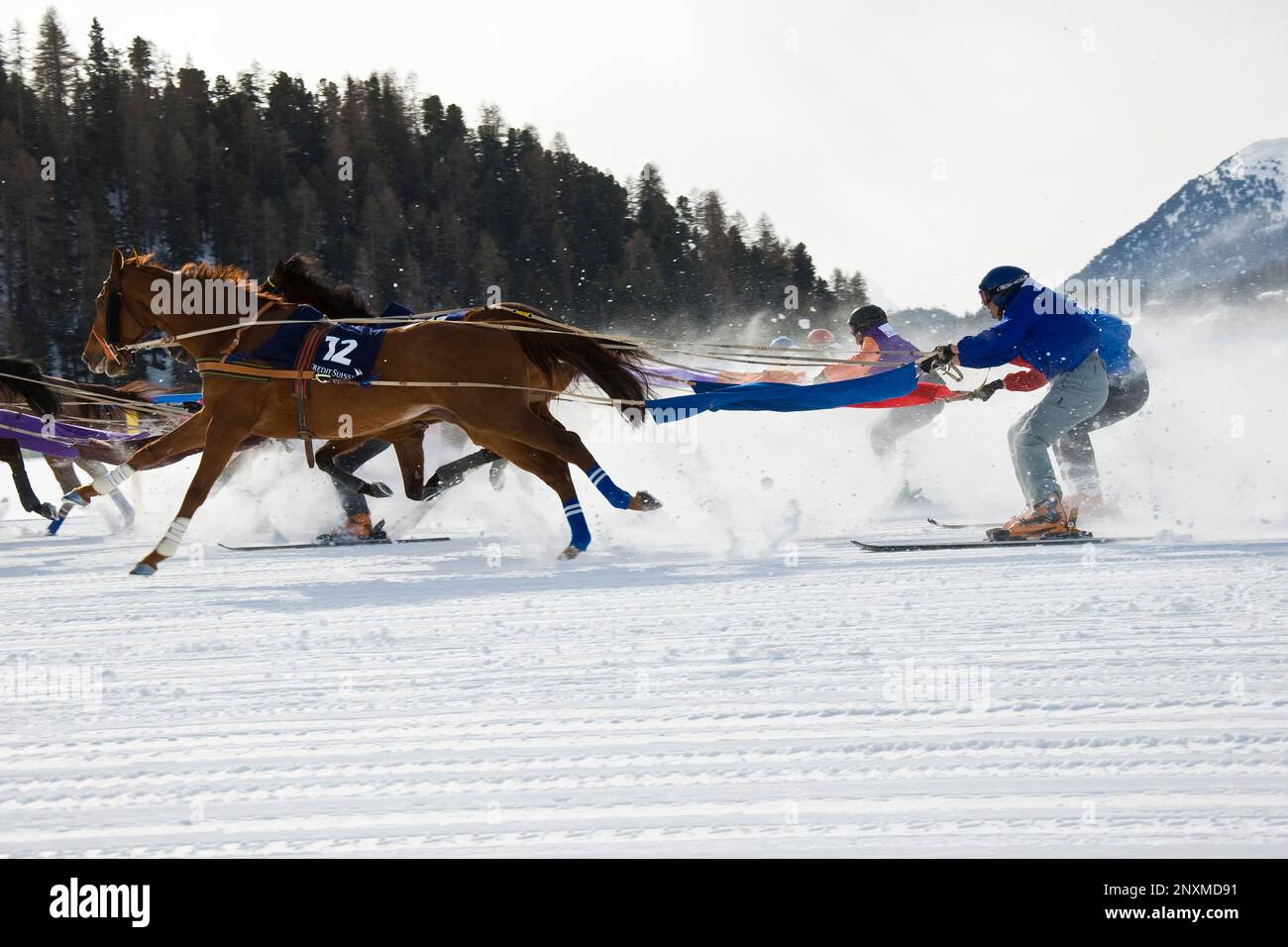 Switzerland, St. Moritz, White turf race Stock Photo - Alamy