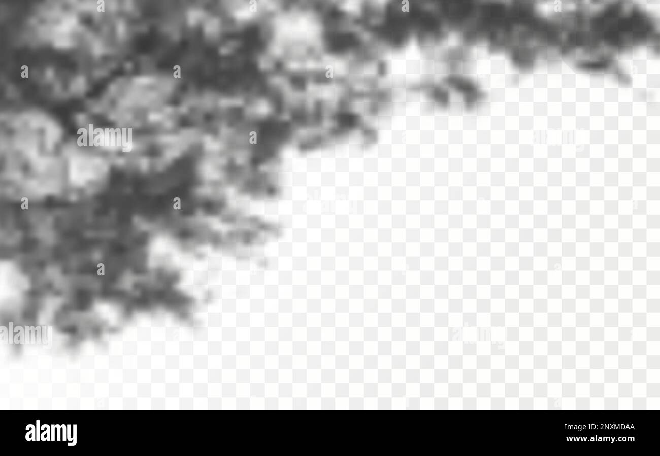 The effect of overlaying shadows. Natural light layout.Realistic shadow ...