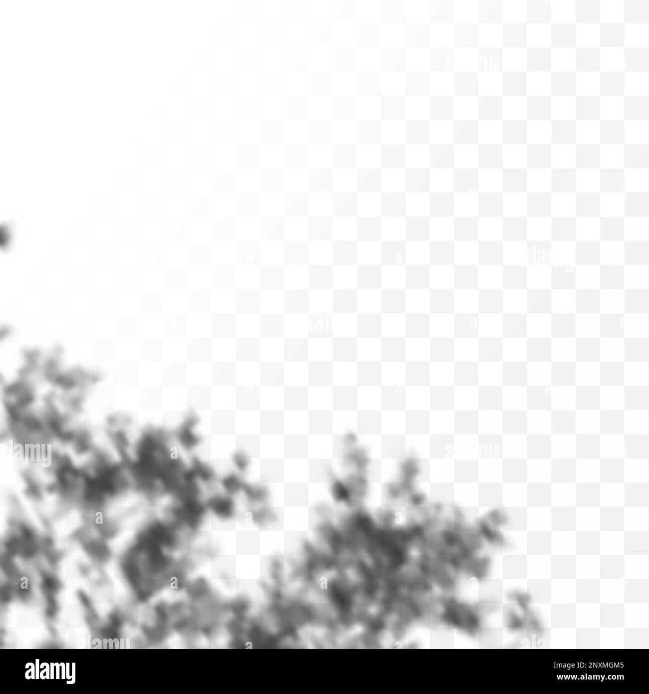 The effect of overlaying shadows. Natural light layout.Realistic shadow ...