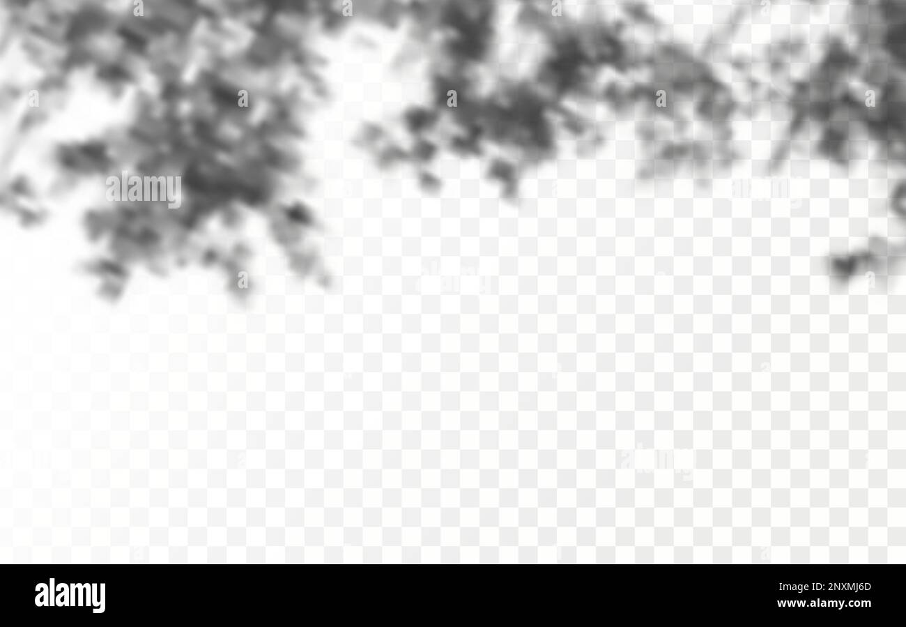 The effect of overlaying shadows. Natural light layout.Realistic shadow ...