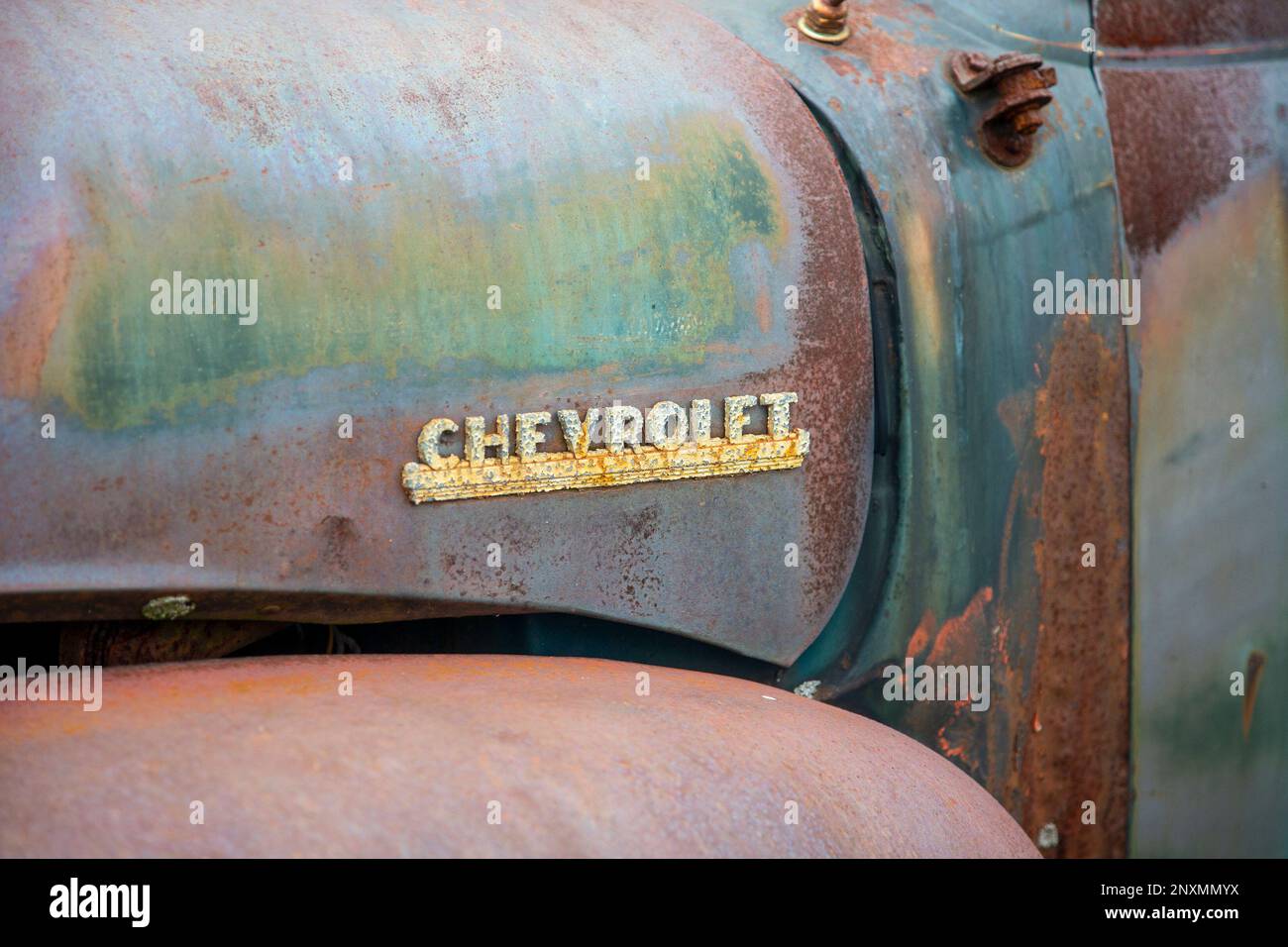 Chevrolet logo on the hood of an old truck Stock Photo - Alamy