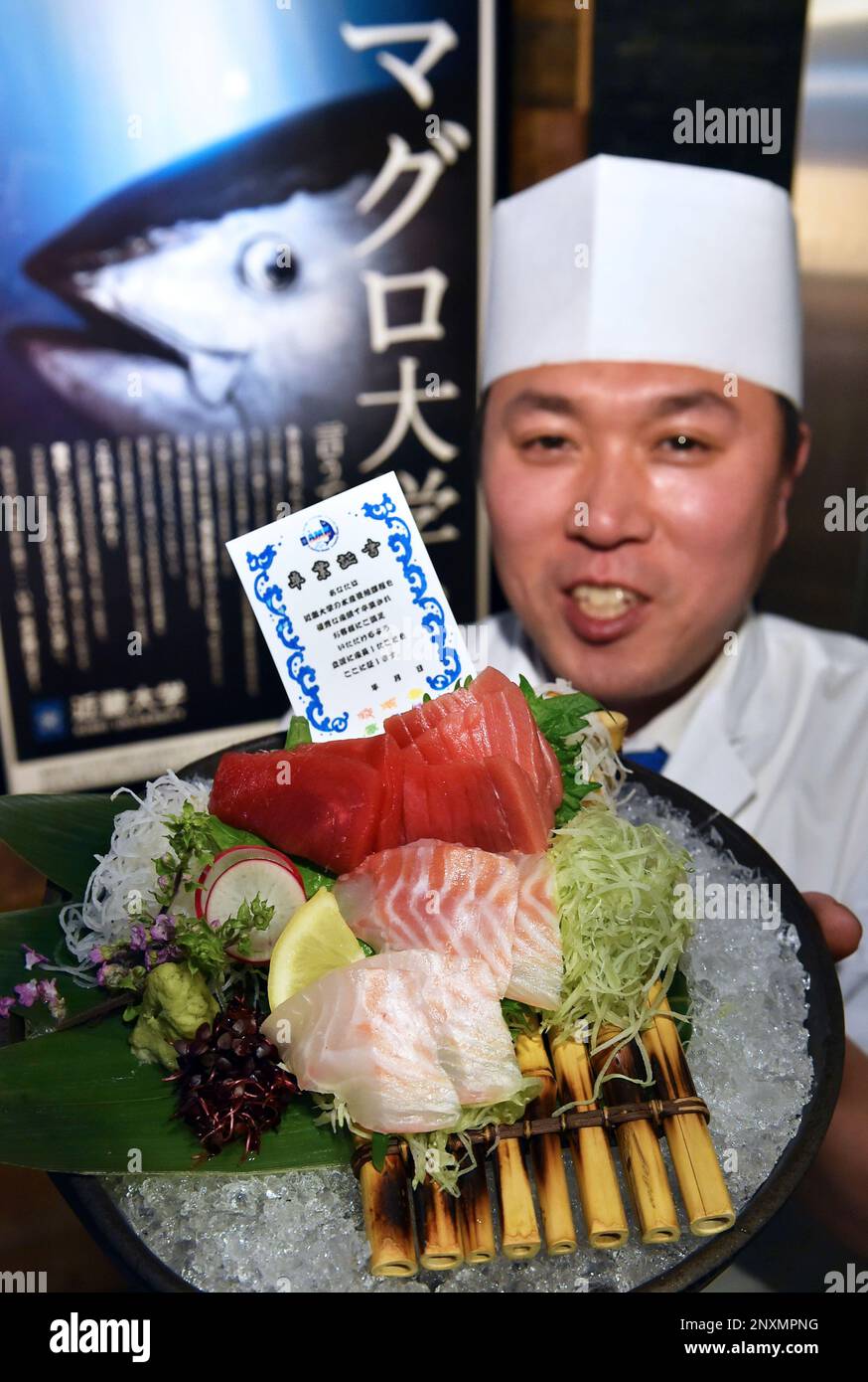 Sashimi of Kindai(white) and Kindai Tuna(red) are offered at Kindai ...