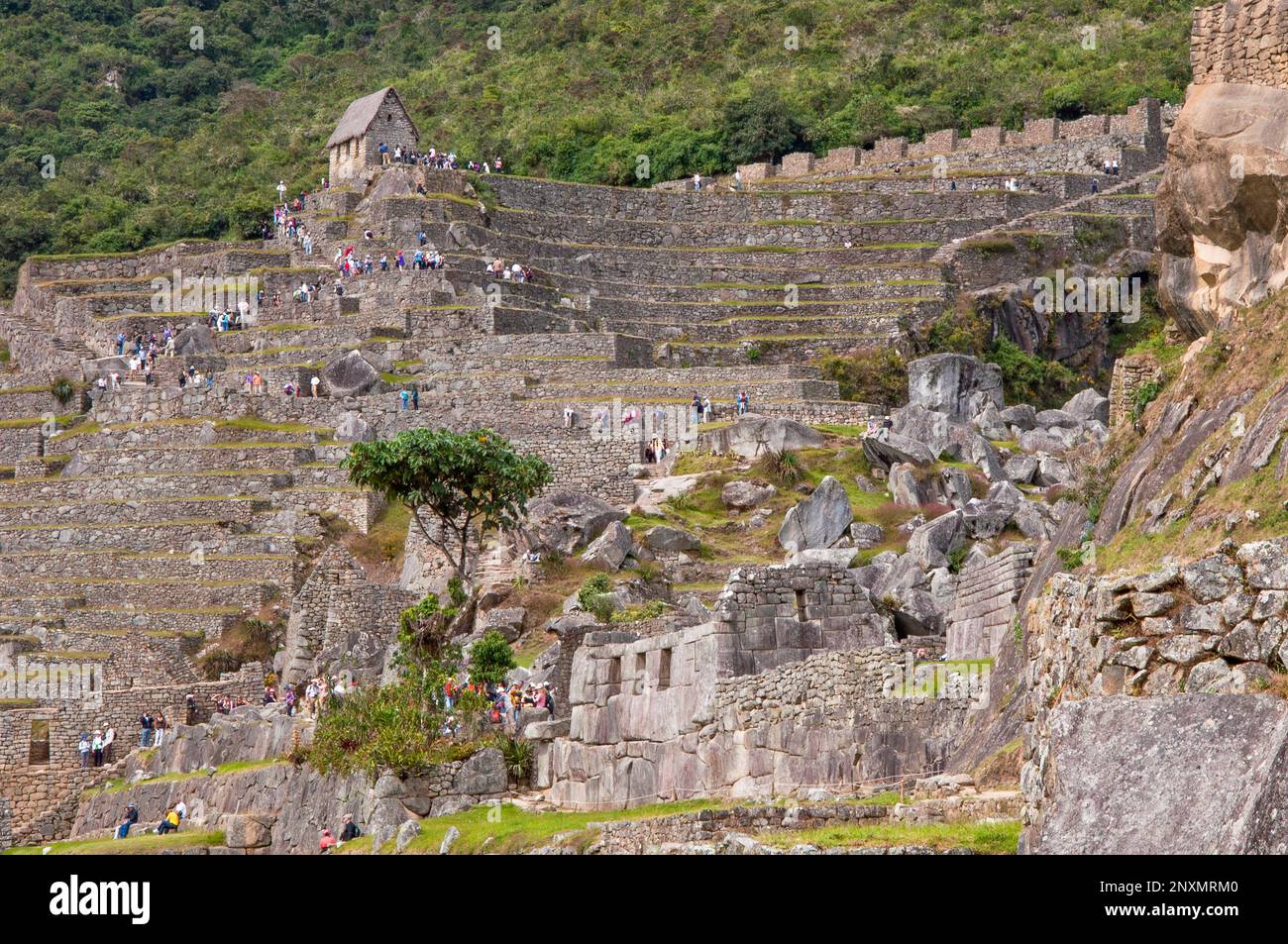 Machu Picchu and agriculture terraces , Incan sacred city ruins, Lost ...