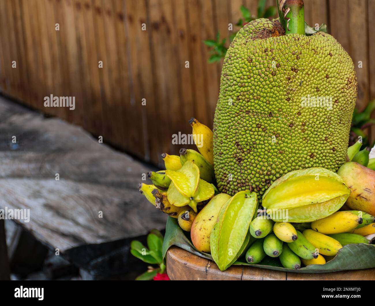 Assorted tropical fruits including mango hi-res stock photography and ...