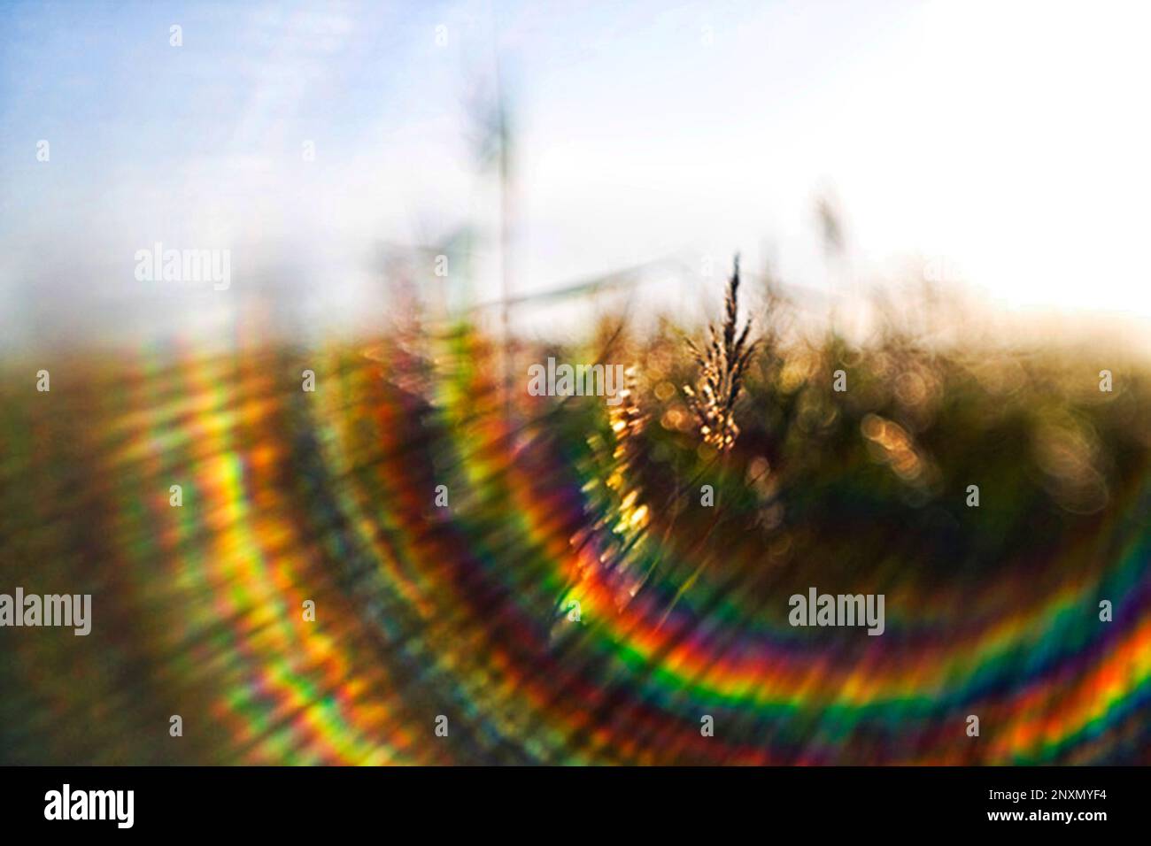 Bokeh and Colour Spectrum, image taken using a Lensbaby Lens Stock ...