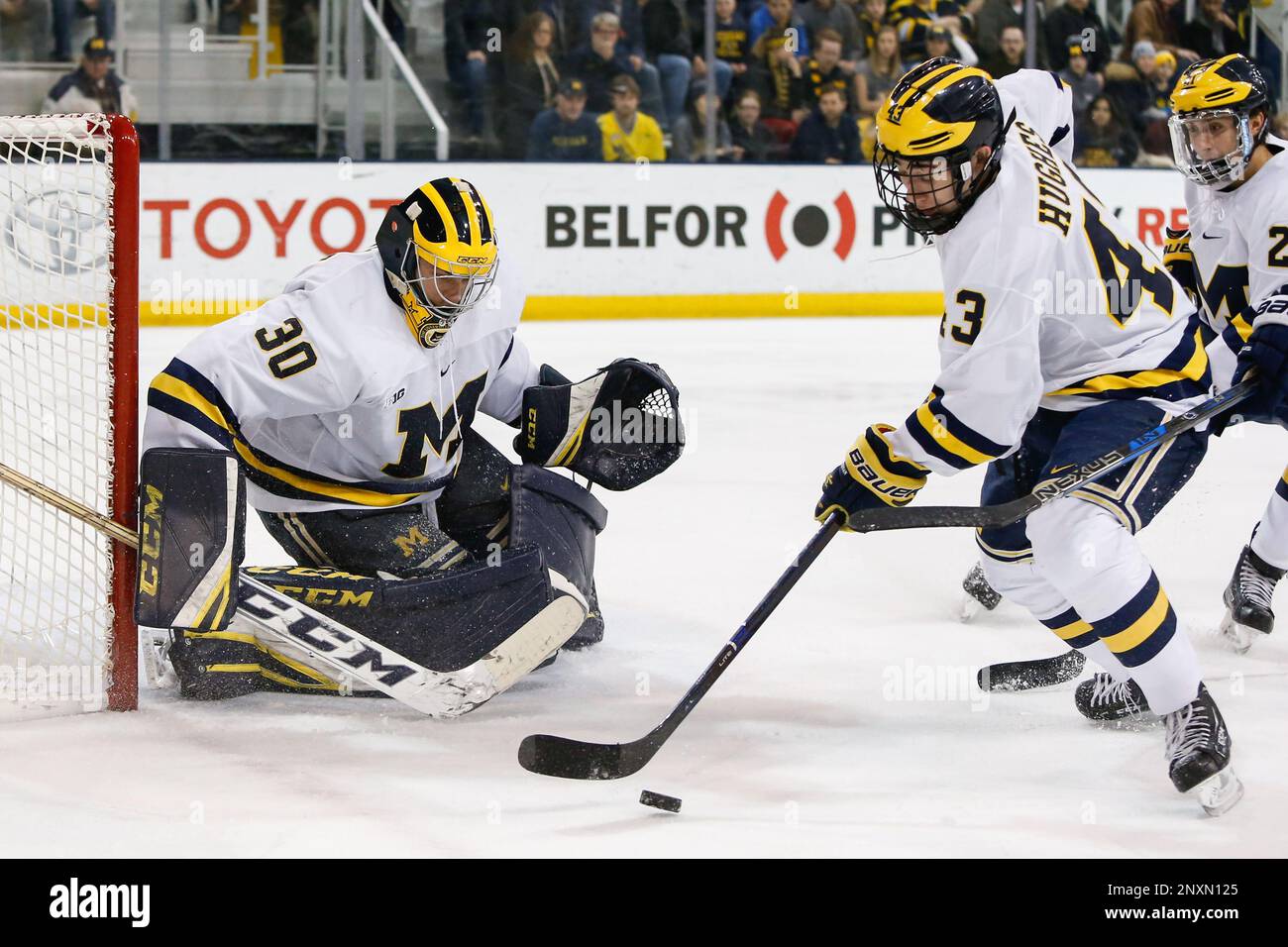 ANN ARBOR, MI - JANUARY 19: Michigan Wolverines defenseman Quinn Hughes ...