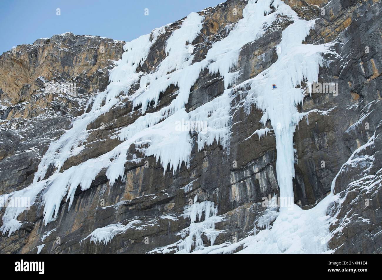 Alpinist Arnold enjoys first-ever free solo climb of 'Beta Block Super ...