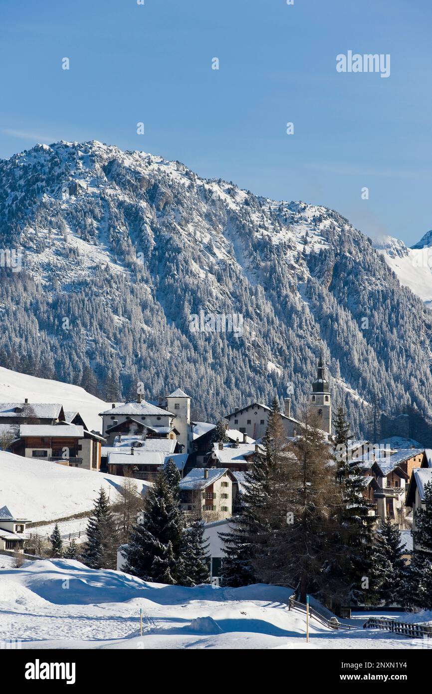 Grison hi-res stock photography and images - Alamy