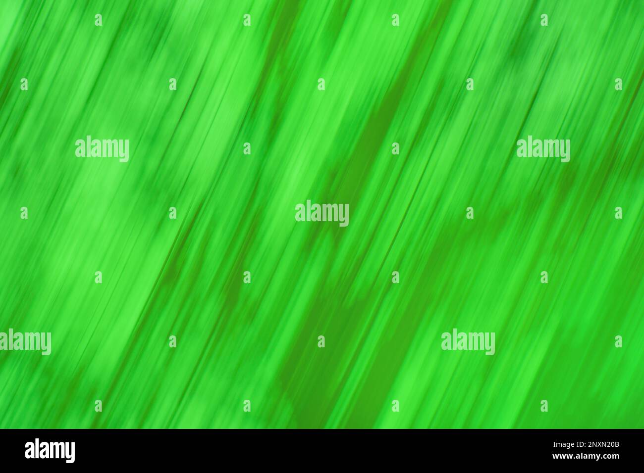 High speed motion blurred green background. Slow shutter speed with ...