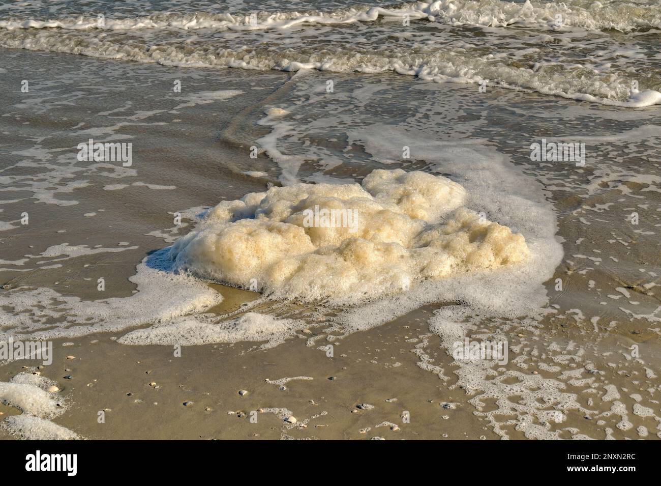 Sea foam or spume washing up on a beach. No people Stock Photo - Alamy