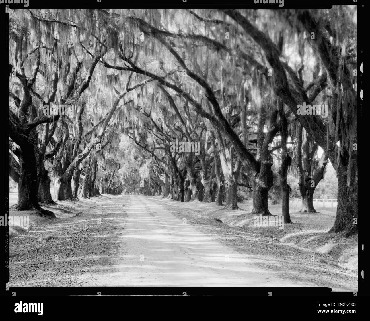 Tomotley, Sheldon, Beaufort County, South Carolina. Carnegie Survey of ...