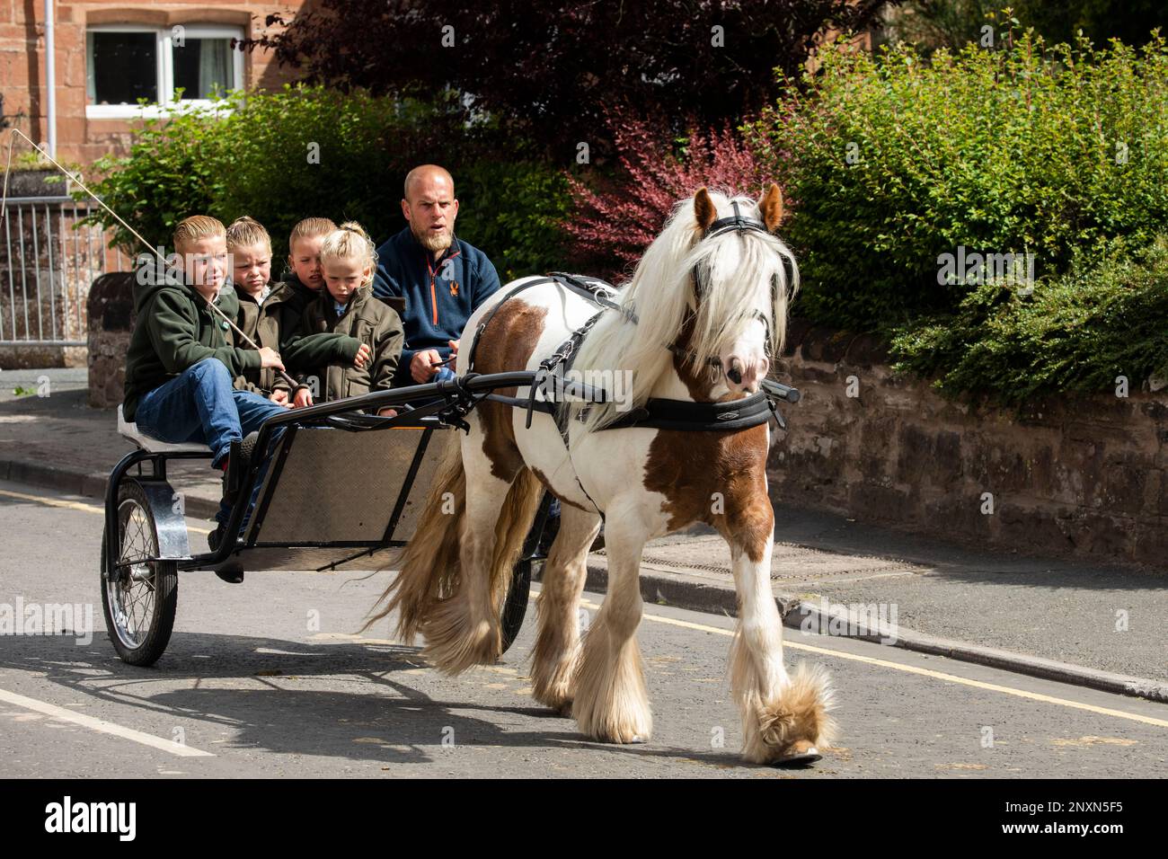 Four children in trotting cart hi-res stock photography and images - Alamy