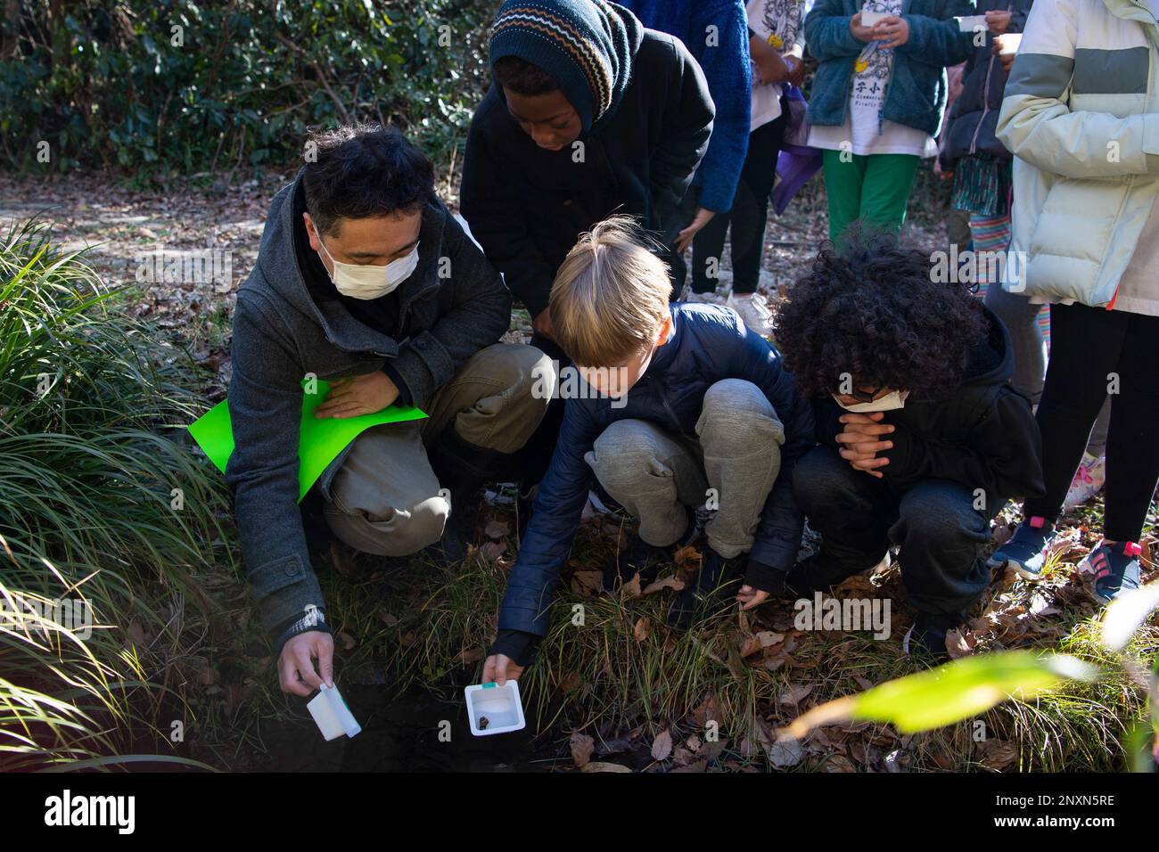 ZUSHI, Japan (February 16, 2023) - Students release firefly larvae ...