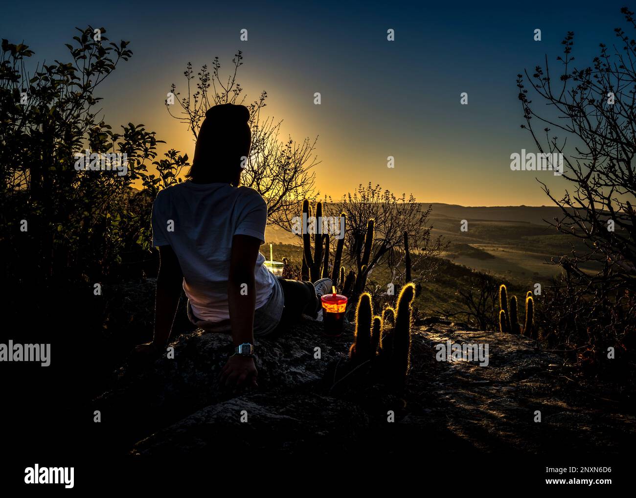 Surrounded by cacti hi-res stock photography and images - Alamy