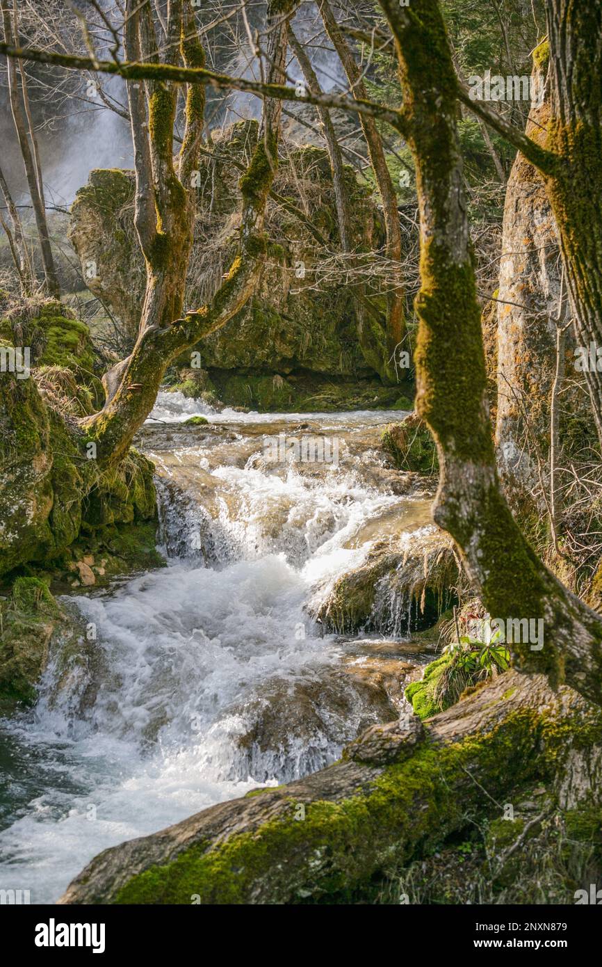 Foamy water stream flowing among hi-res stock photography and images ...