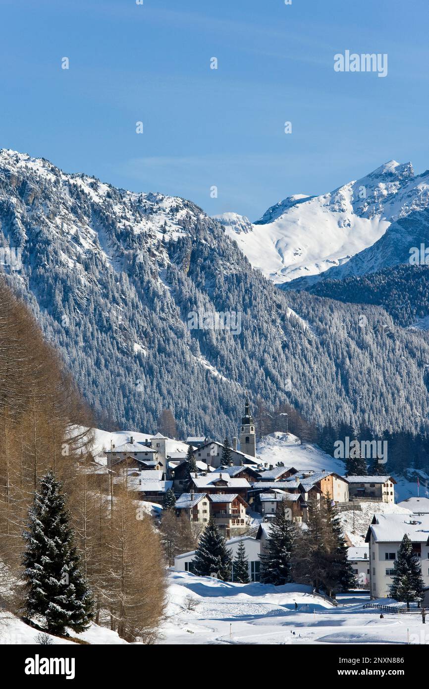 Grison hi-res stock photography and images - Alamy