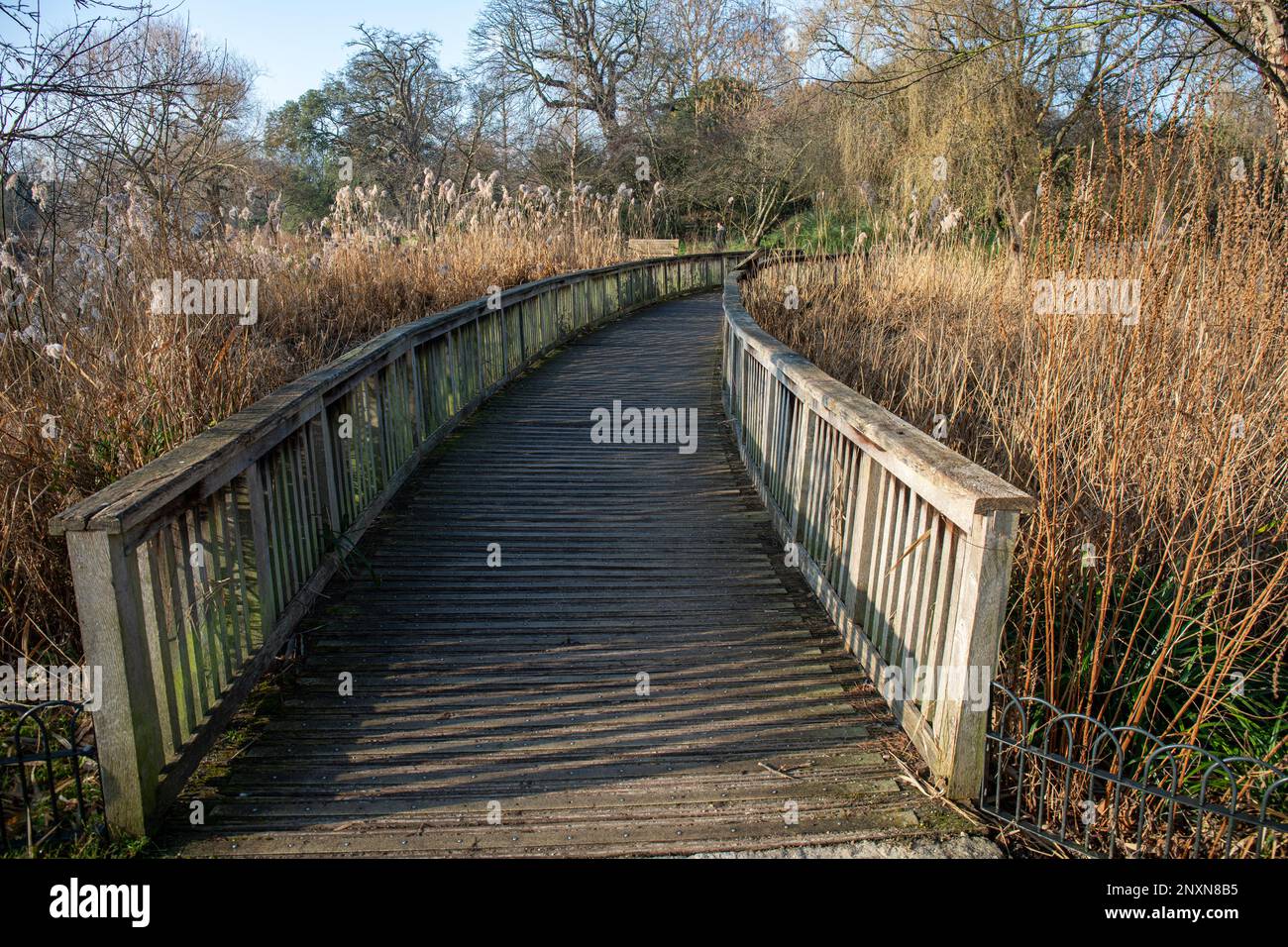 Wooden footbridge or boardwalk at Regent's Park Inner Circle in London ...