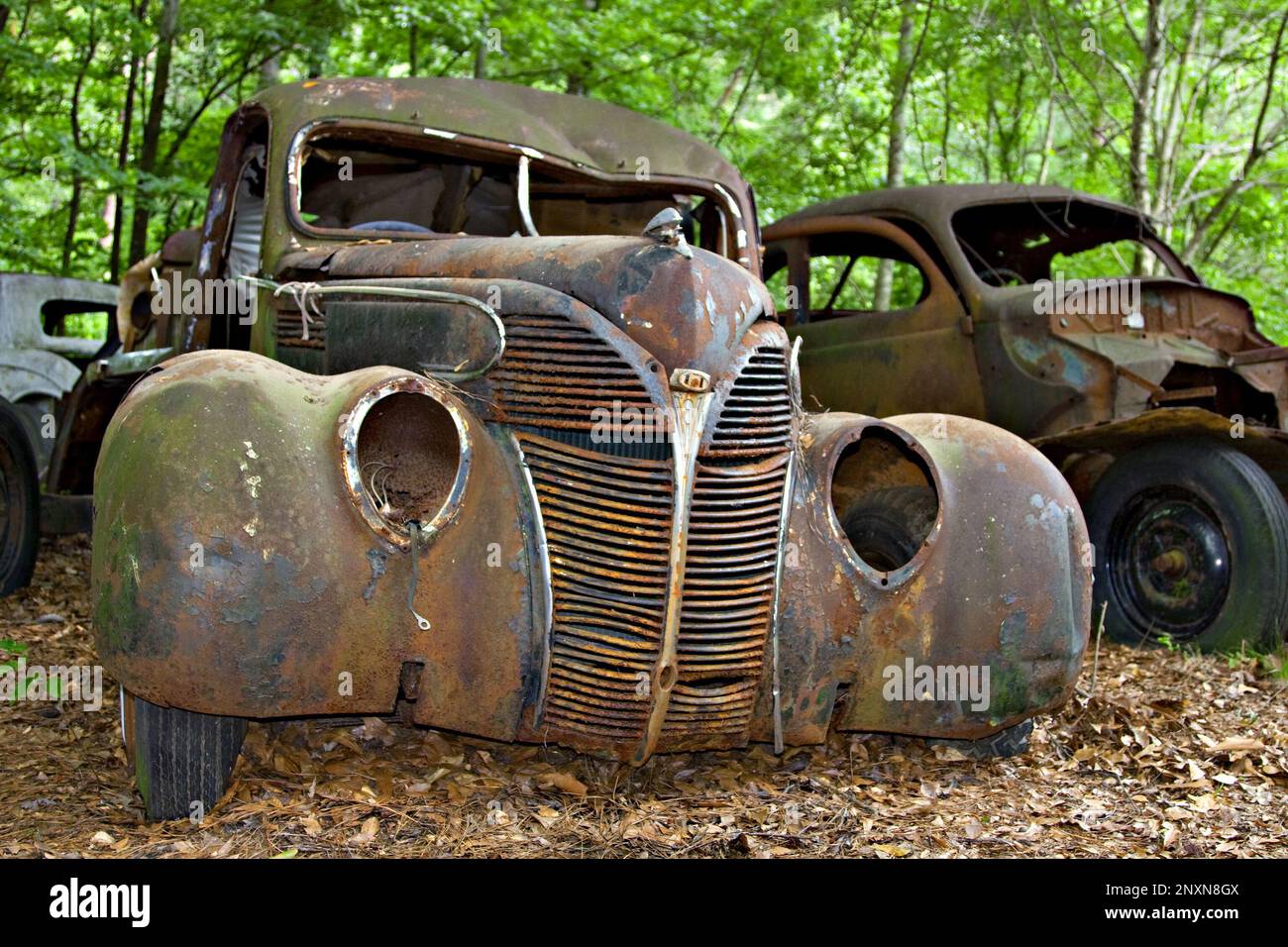 Old classic American car in a junk yard Stock Photo - Alamy
