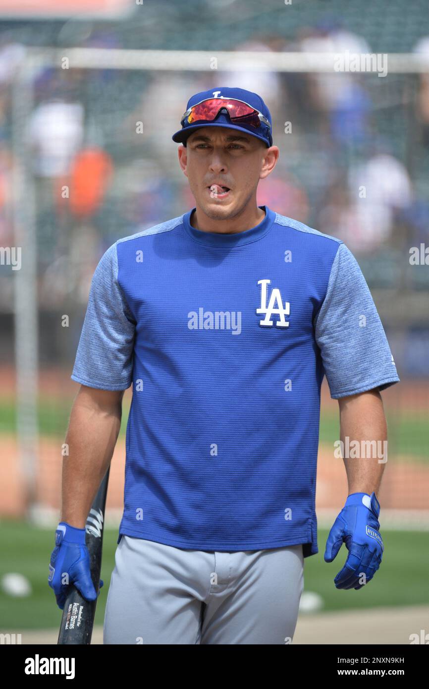 Los Angeles Dodgers catcher Austin Barnes (15) during game against the ...
