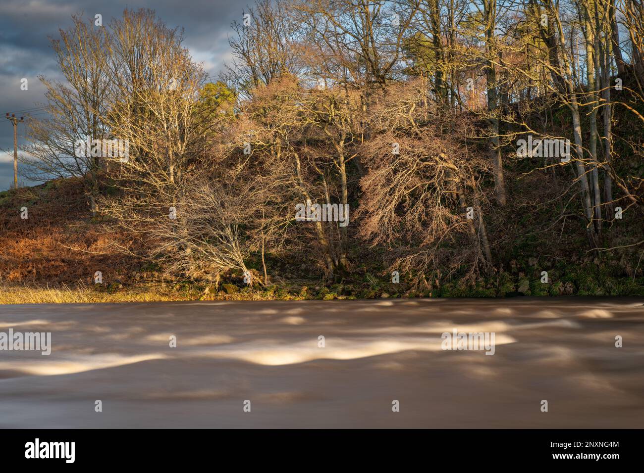 Winter along the River Don, Inverurie, Aberdeenshire, Scotland, UK ...