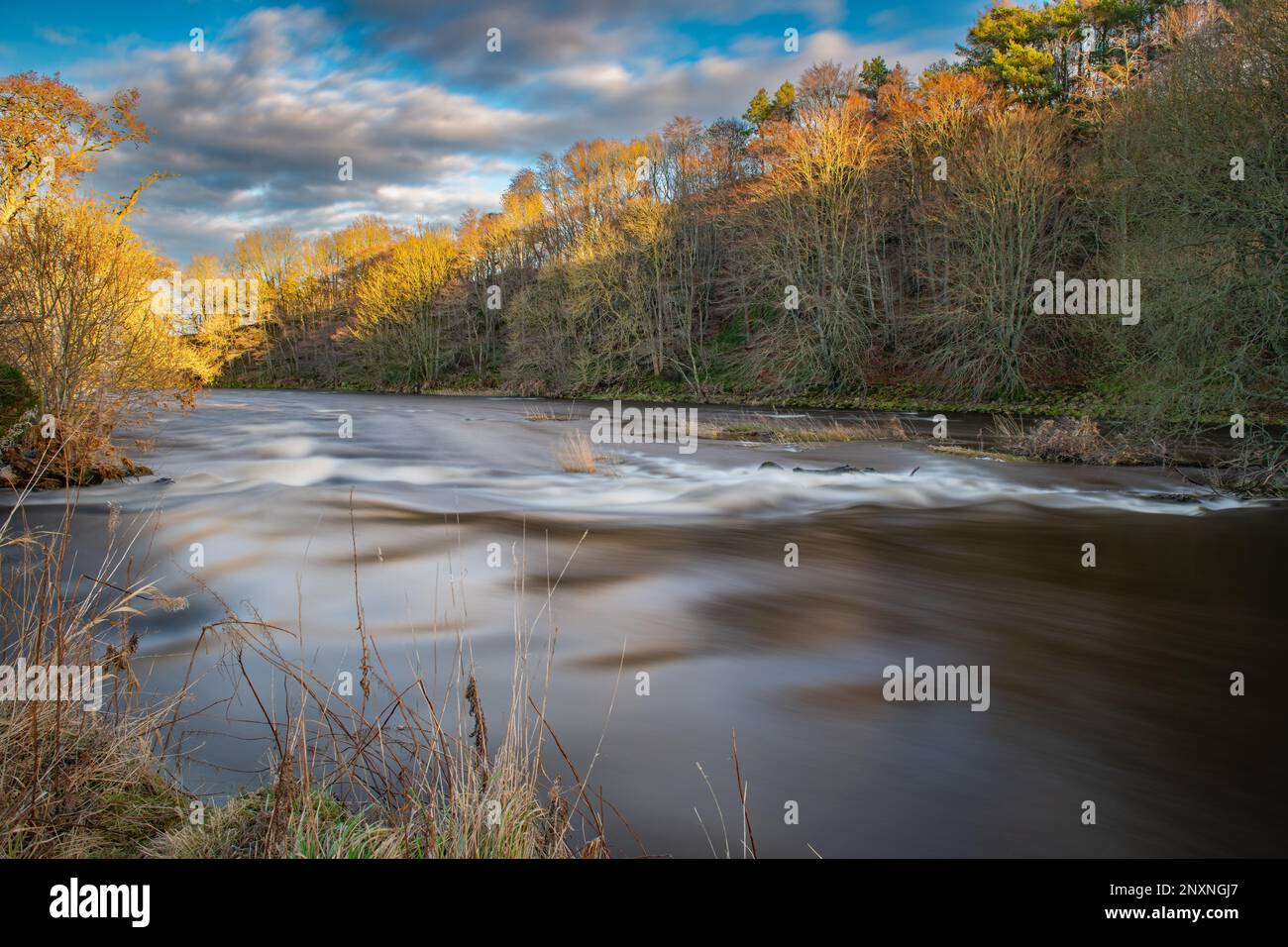 Winter along the River Don, Inverurie, Aberdeenshire, Scotland, UK ...