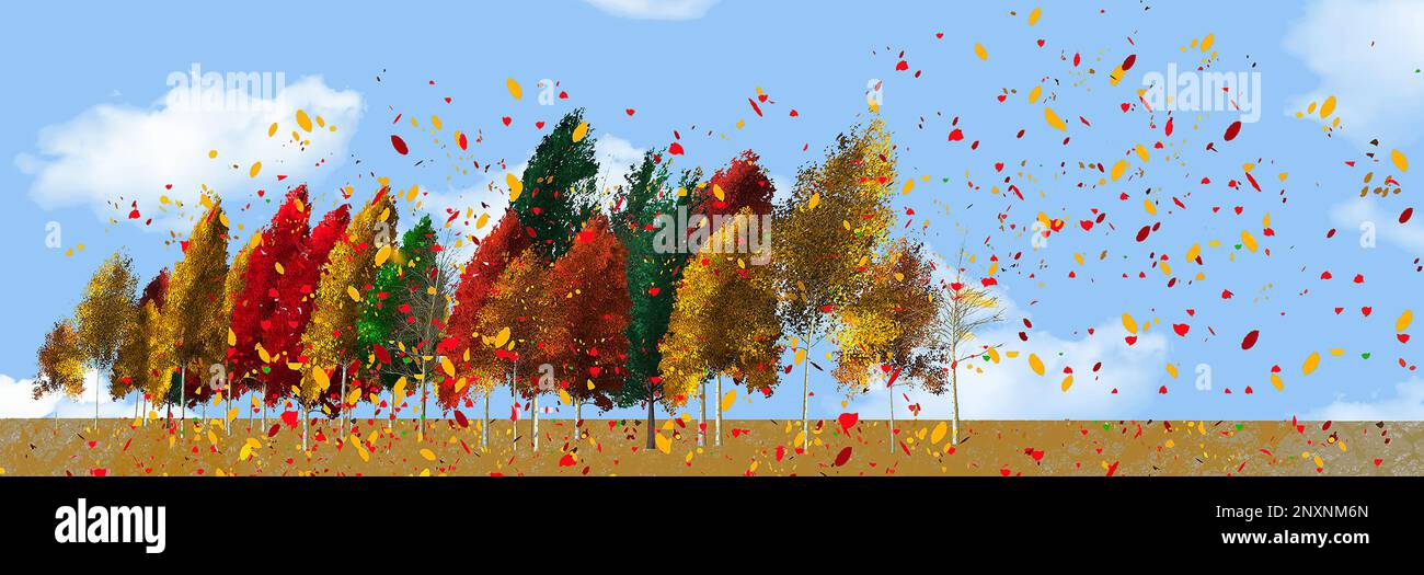 Bold and bright colors of autumn leaves are seen on a line of trees on ...