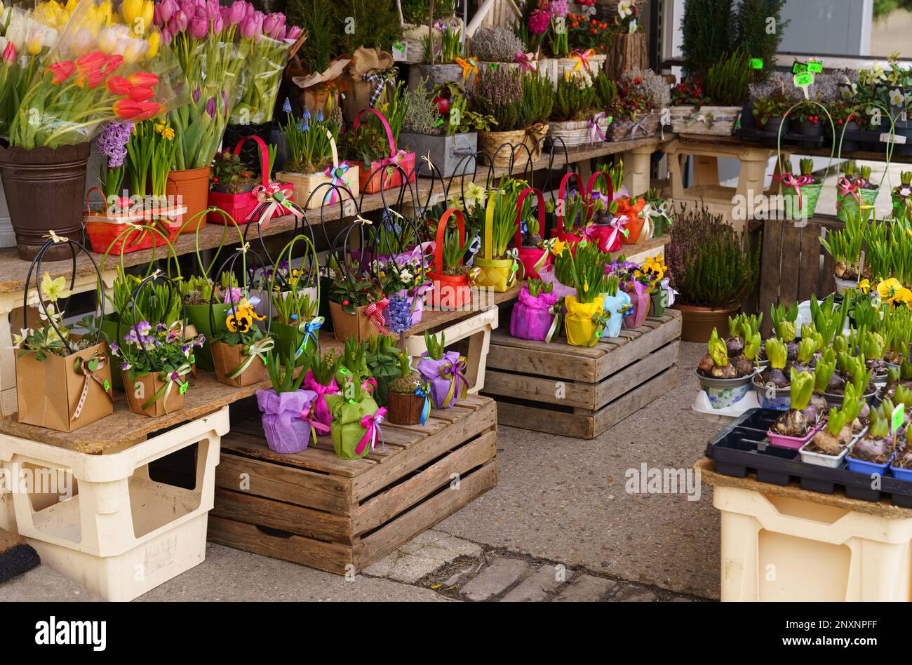 Open window of a flower shop on the street. Flower pots, packaged ...