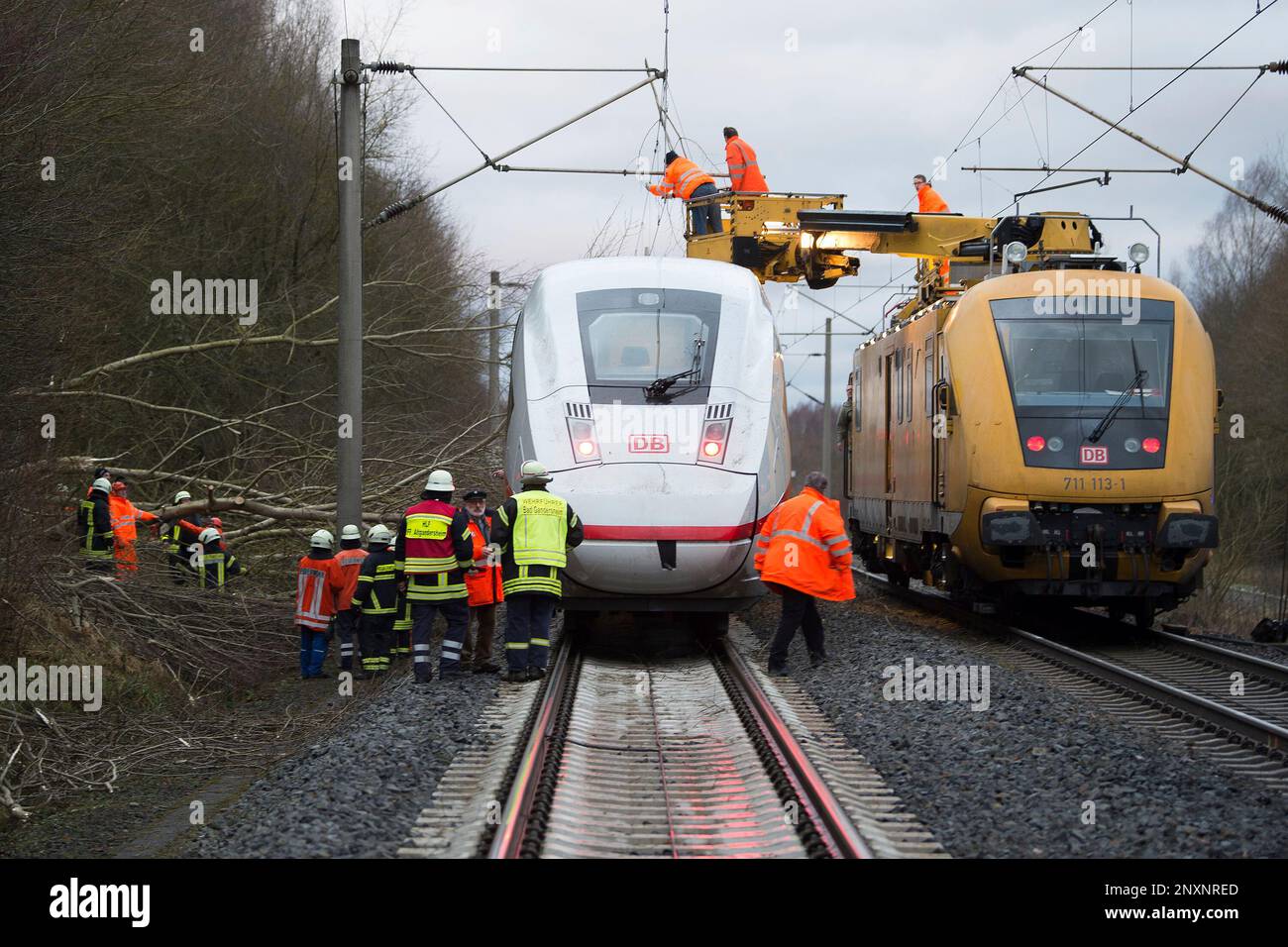 Rescue workers try to remove a tree from an ICE train of Deutsche Bahn ...