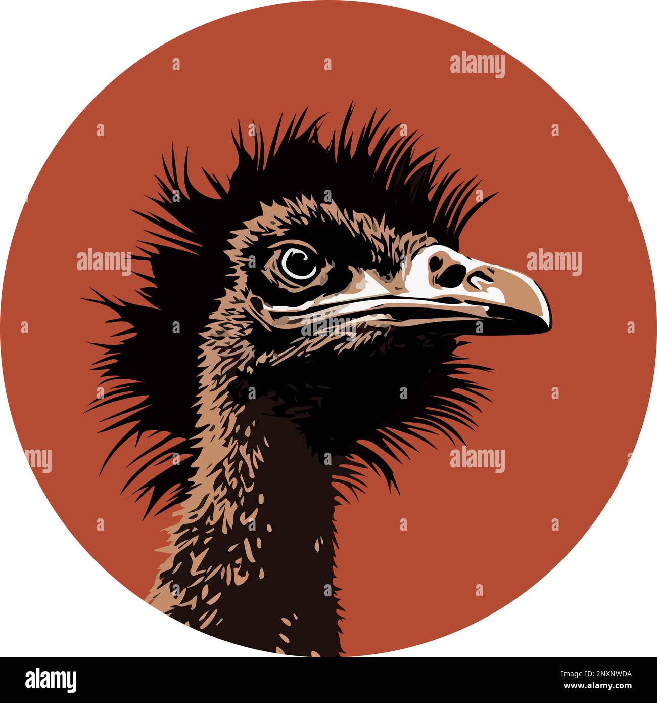 Cartoon Ostrich Gray Bird Flat Design Style Stock Vector Image & Art ...