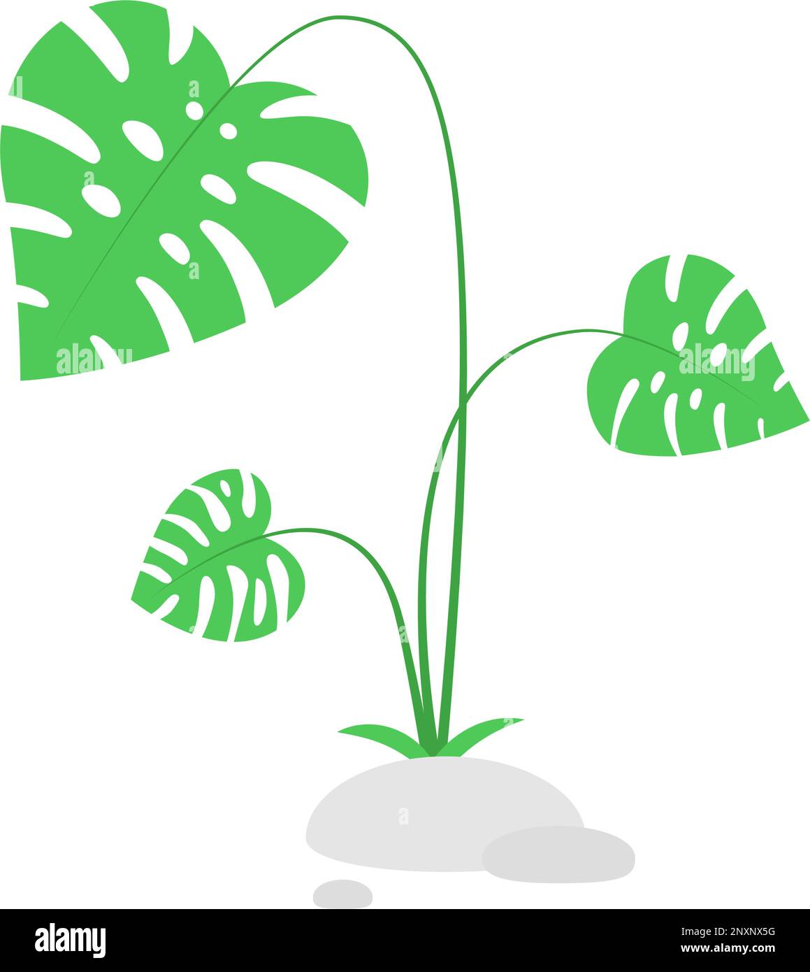 Native and exotic flora Stock Vector Images - Alamy