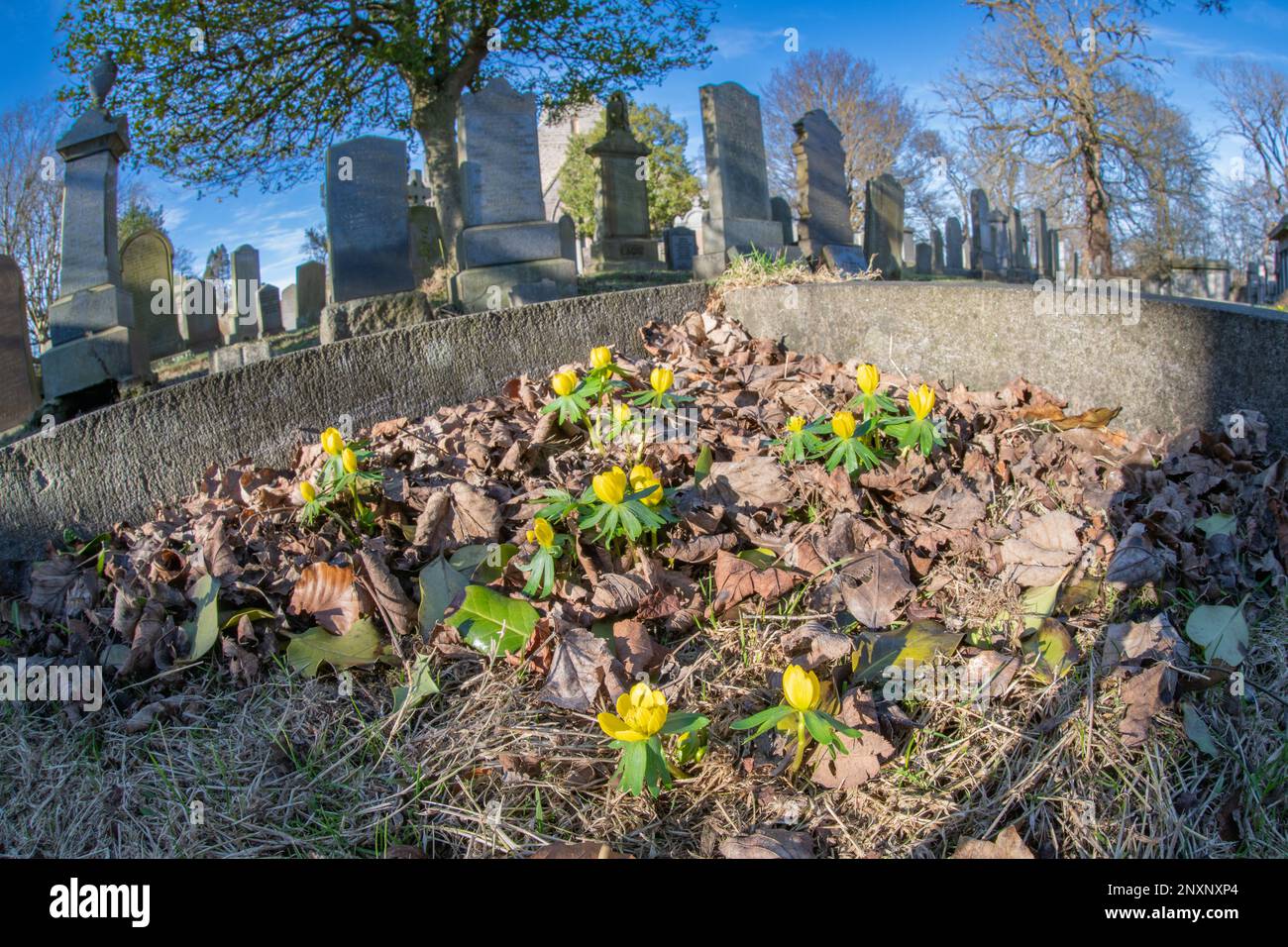 St Machar's Cathedral Graveyard, Old Aberdeen, Scotland, UK Stock Photo ...