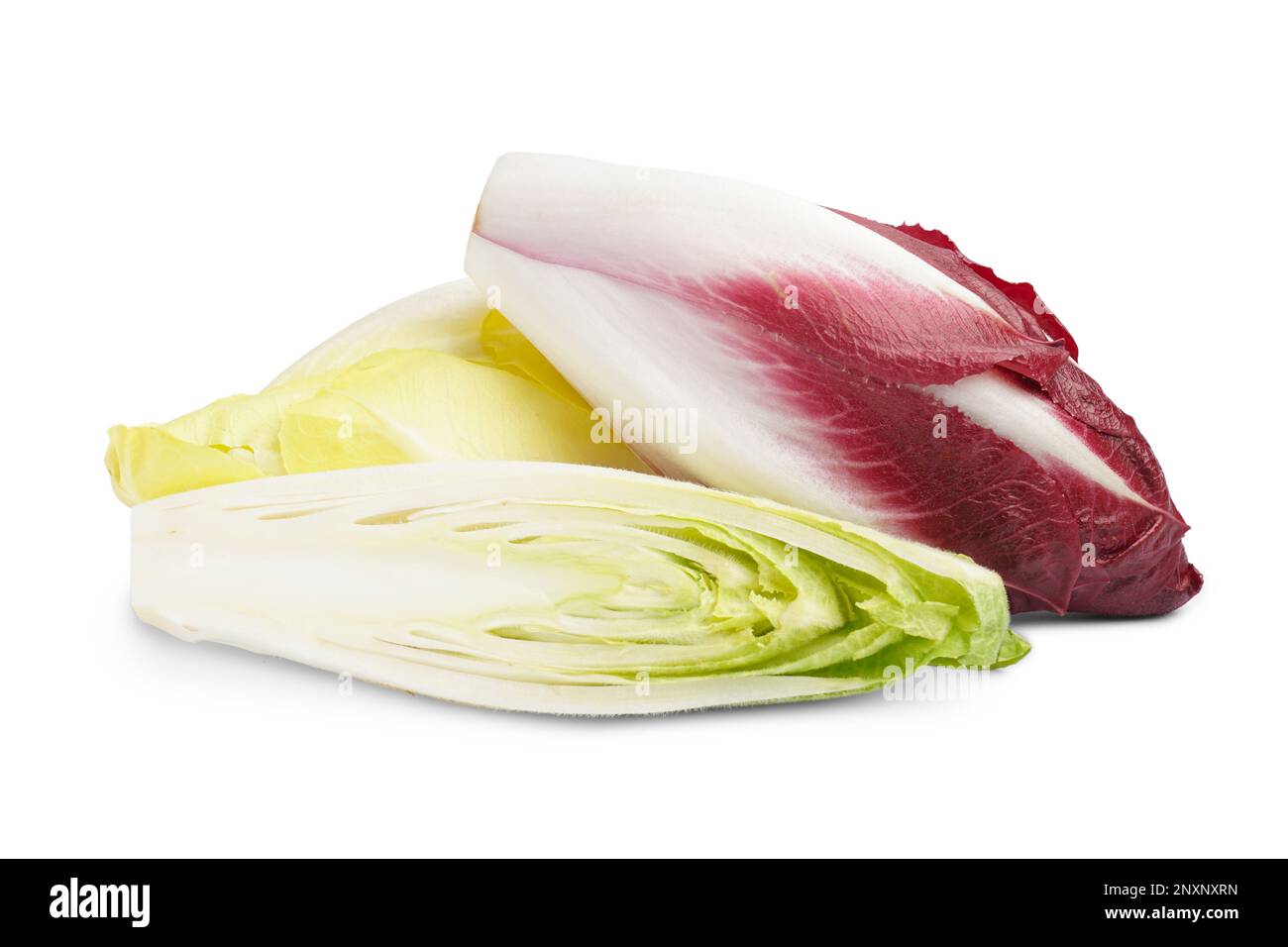 Fresh ripe endive isolated on white background Stock Photo - Alamy