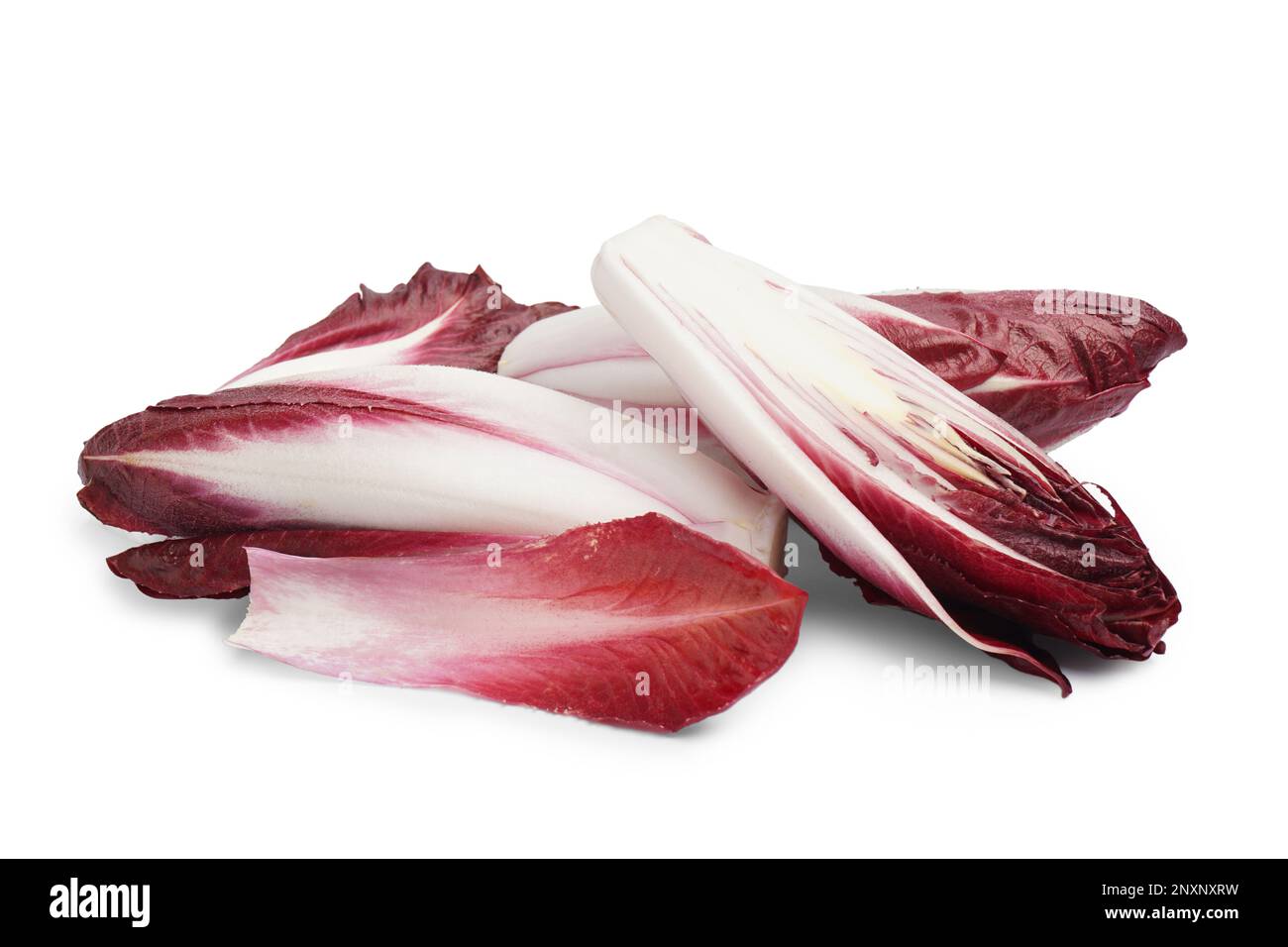 Heap of fresh red endive isolated on white background Stock Photo - Alamy
