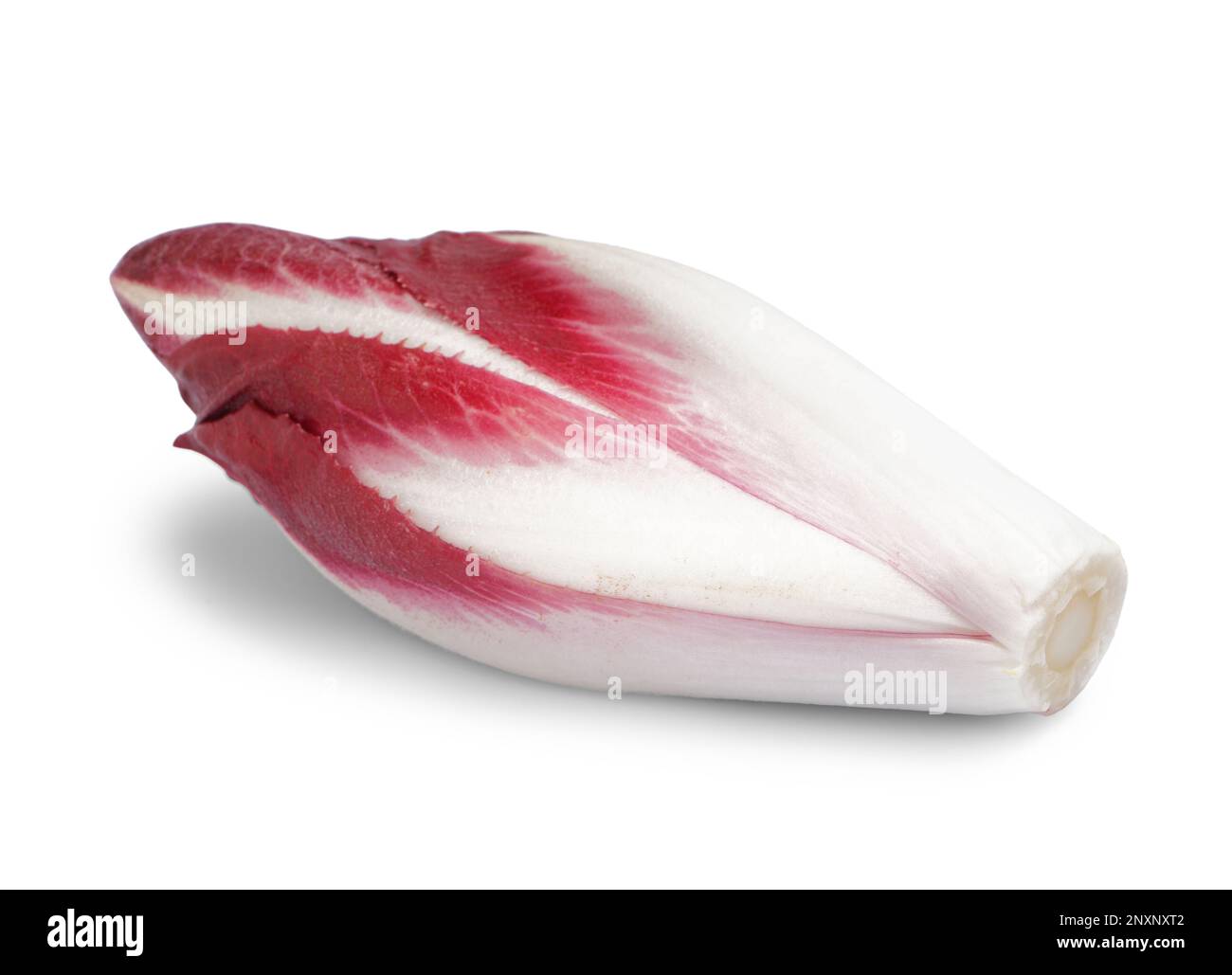 Bunch of fresh red endive on white background Stock Photo - Alamy