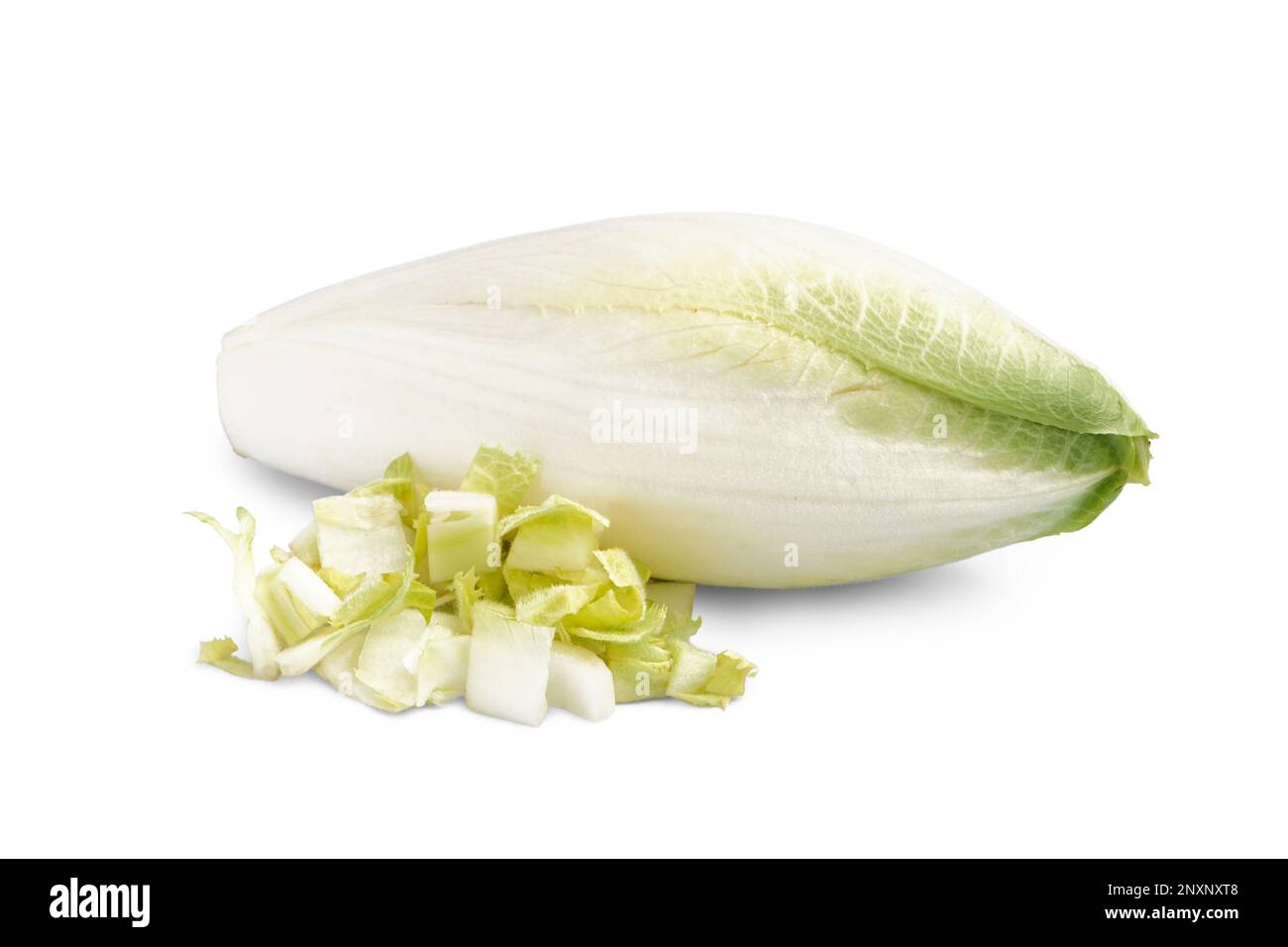 Whole and cut fresh endive on white background Stock Photo - Alamy