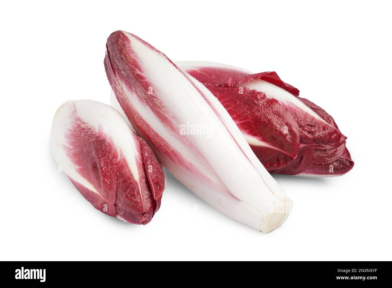 Bunches of fresh red endive on white background Stock Photo - Alamy