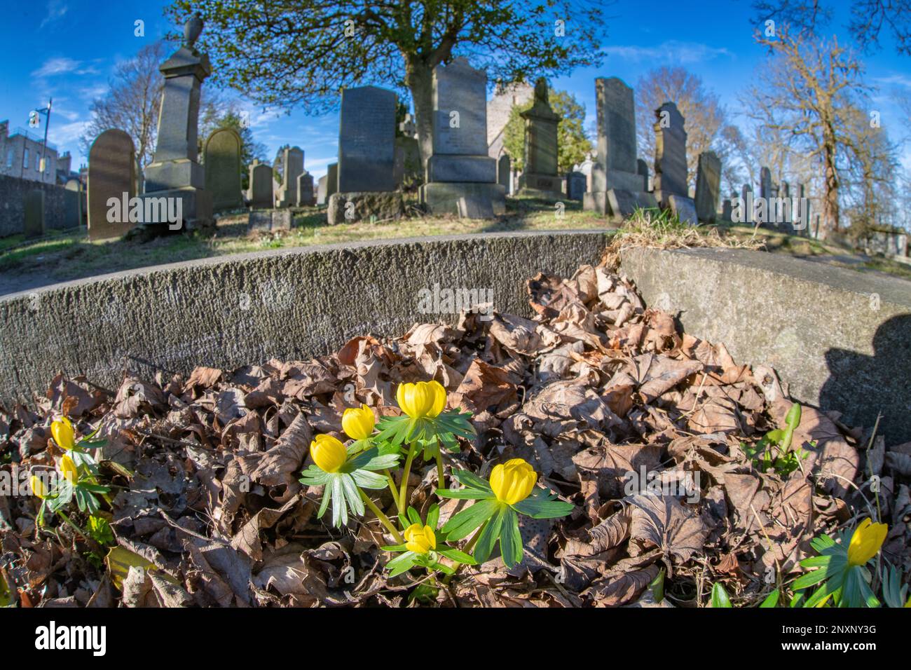 St Machar's Cathedral Graveyard, Old Aberdeen, Scotland, UK Stock Photo ...