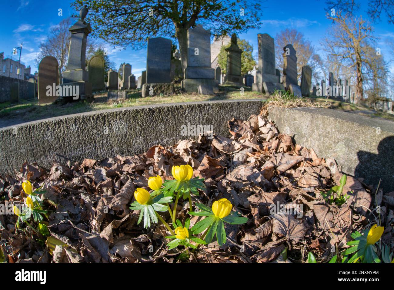 St Machar's Cathedral Graveyard, Old Aberdeen, Scotland, UK Stock Photo ...